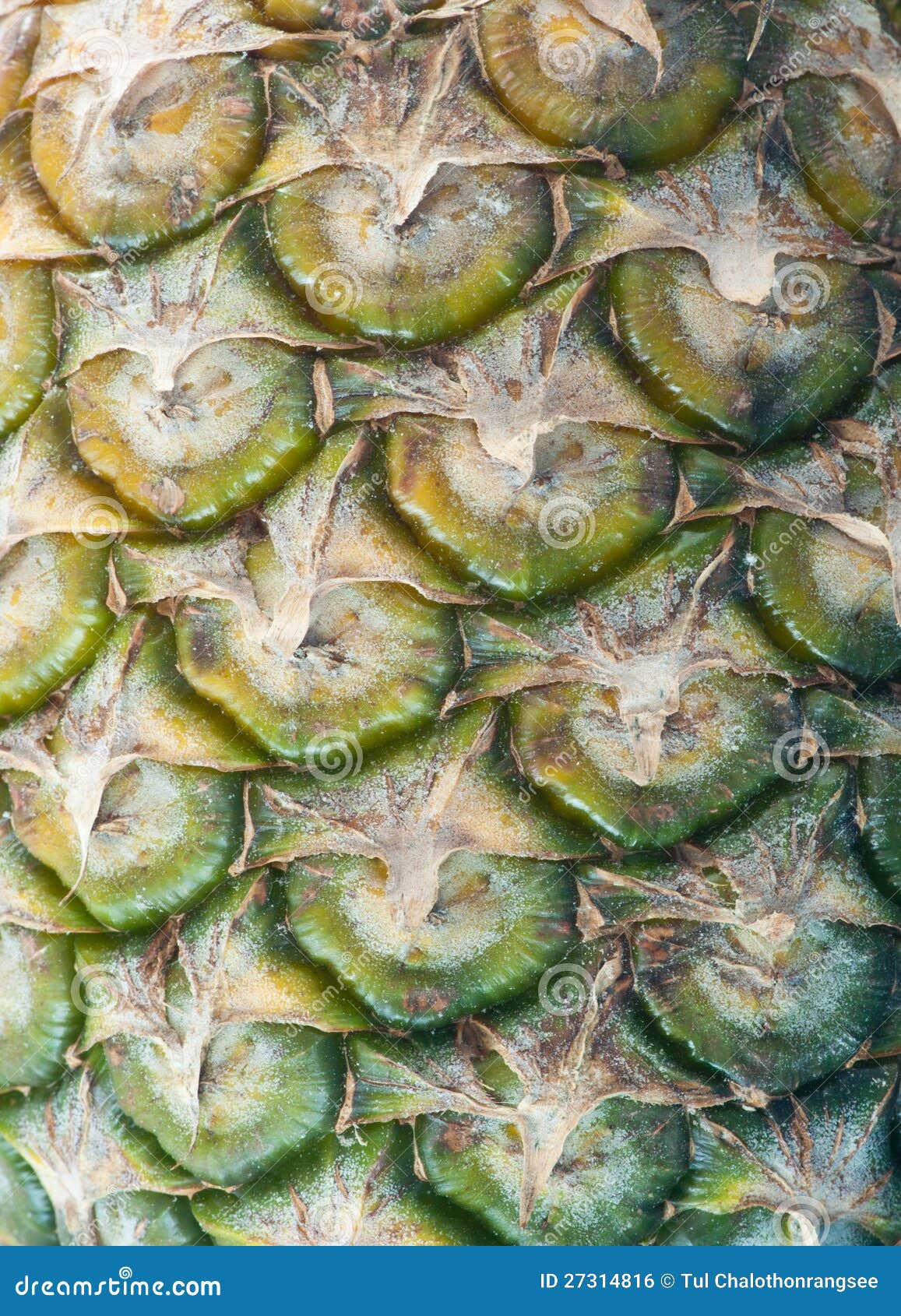 Pineapple texture stock photo. Image of leaves, diet - 27314816