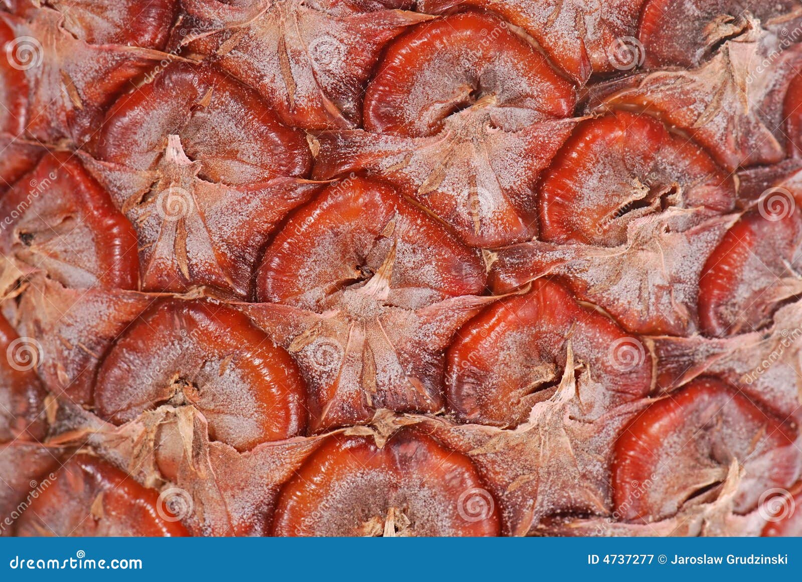 Pineapple Texture Stock Photography | CartoonDealer.com #54041324