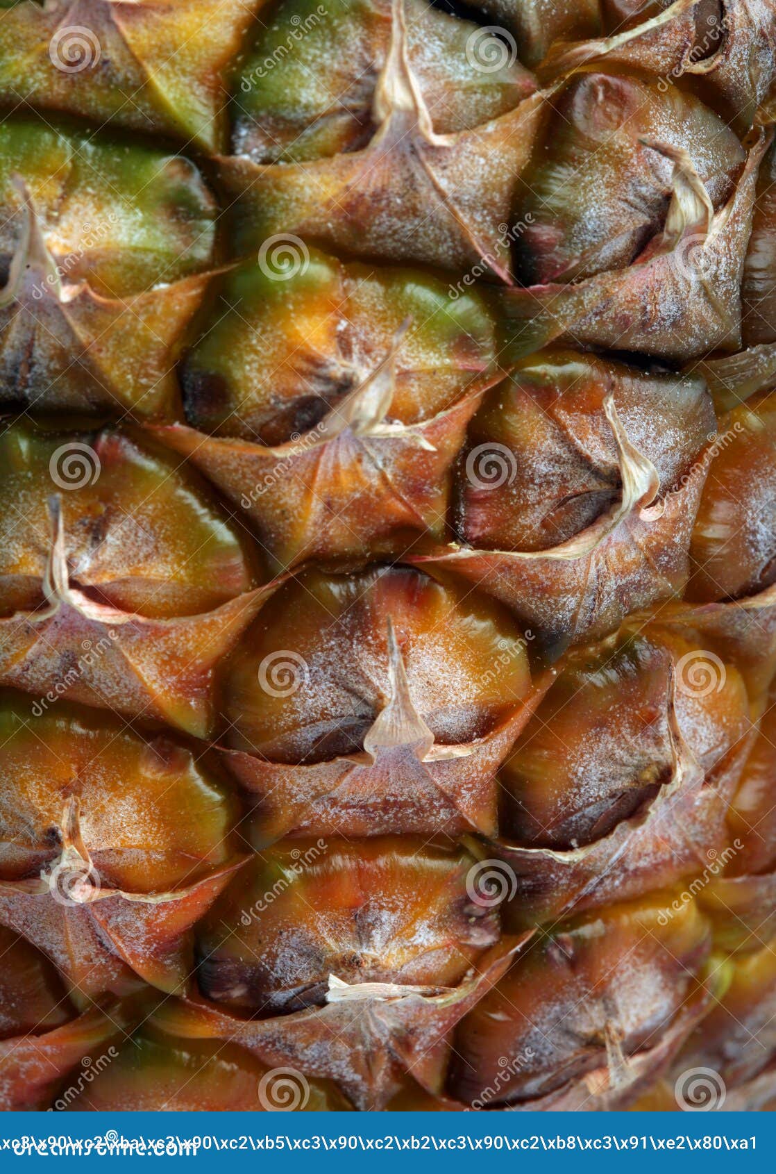 Pineapple texture stock photo. Image of pineapple, health - 8945794