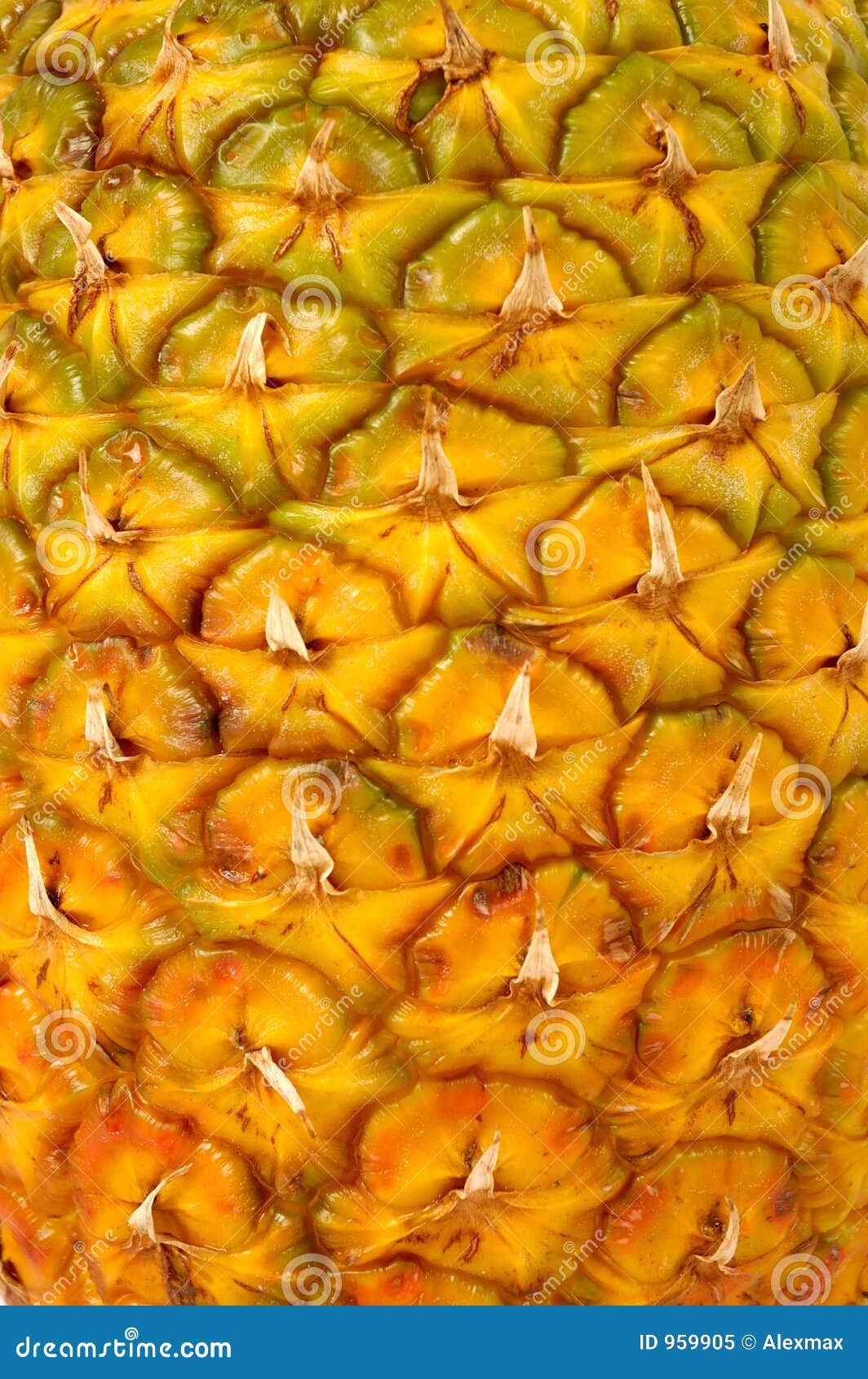 Pineapple texture stock image. Image of tropical, succulent - 959905