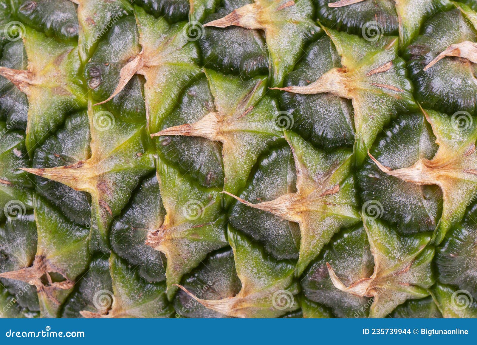 Pineapple Texture Stock Photography | CartoonDealer.com #14538470