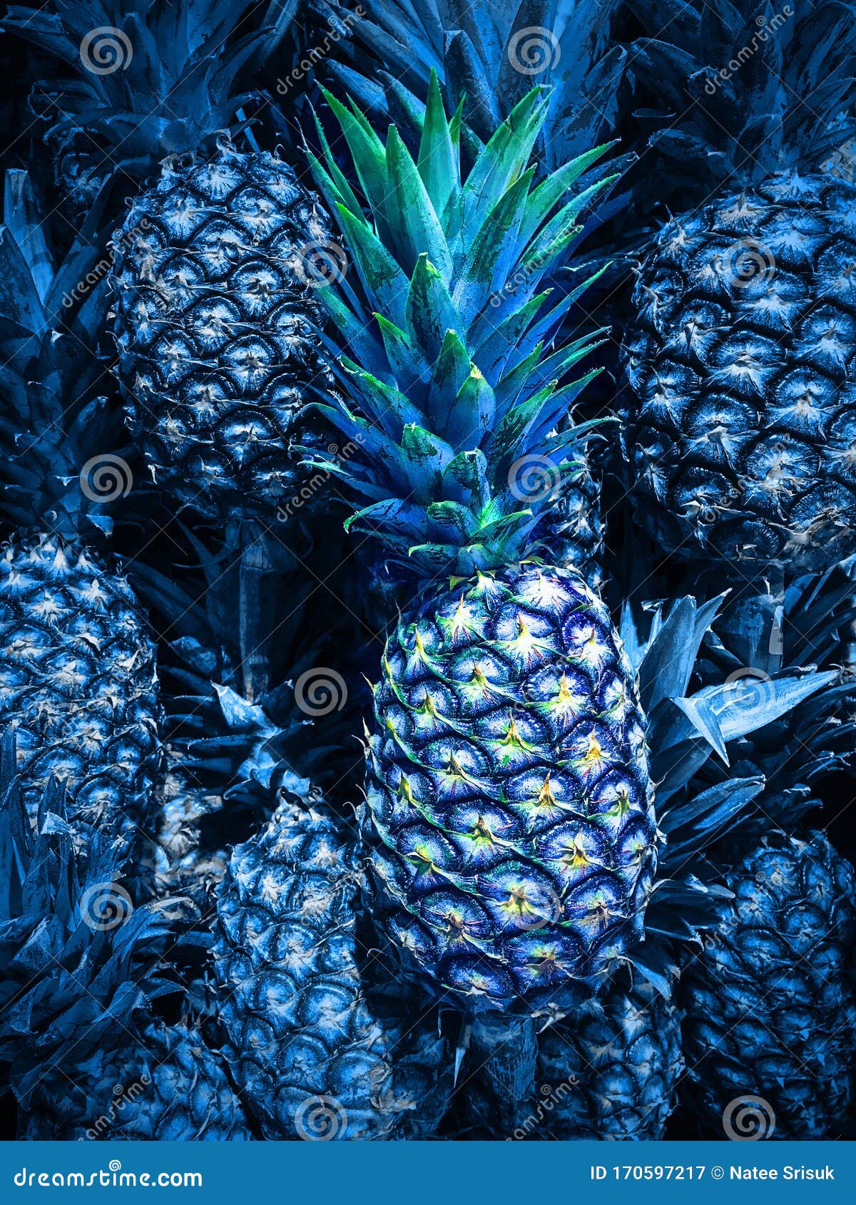 Pineapple Texture Background Tropical Fruit Stock Image - Image of ...