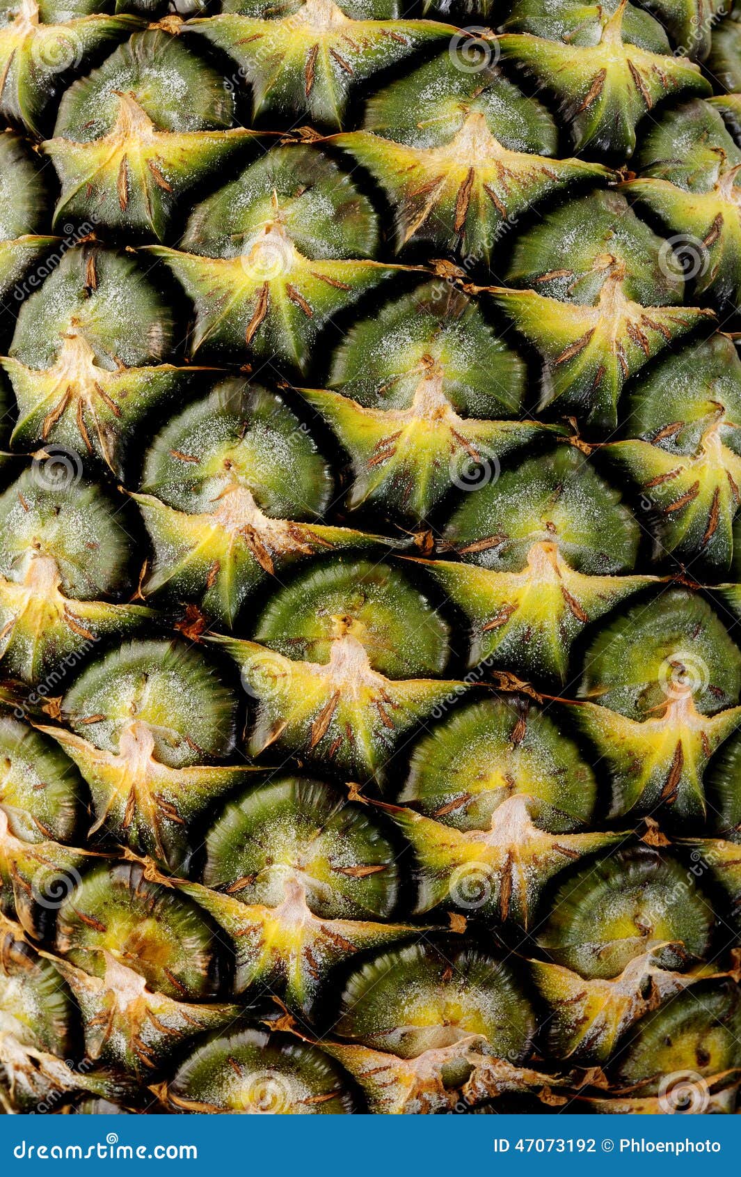 Pineapple texture stock photo. Image of nutrient, tropical - 47073192