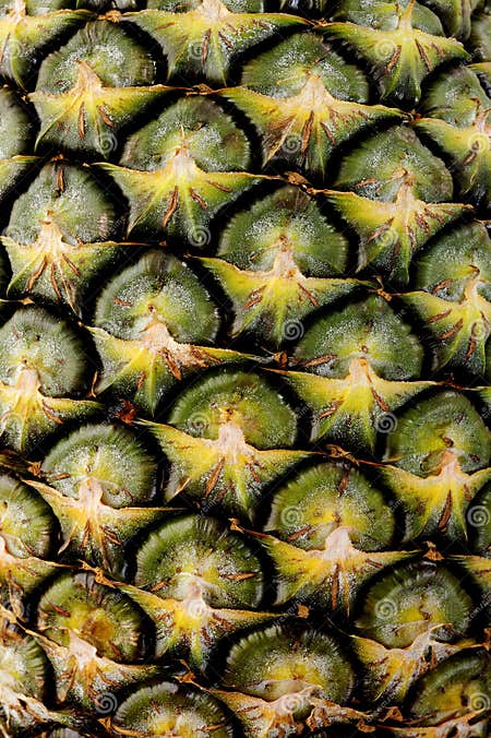 Pineapple texture stock photo. Image of nutrient, tropical - 47073192