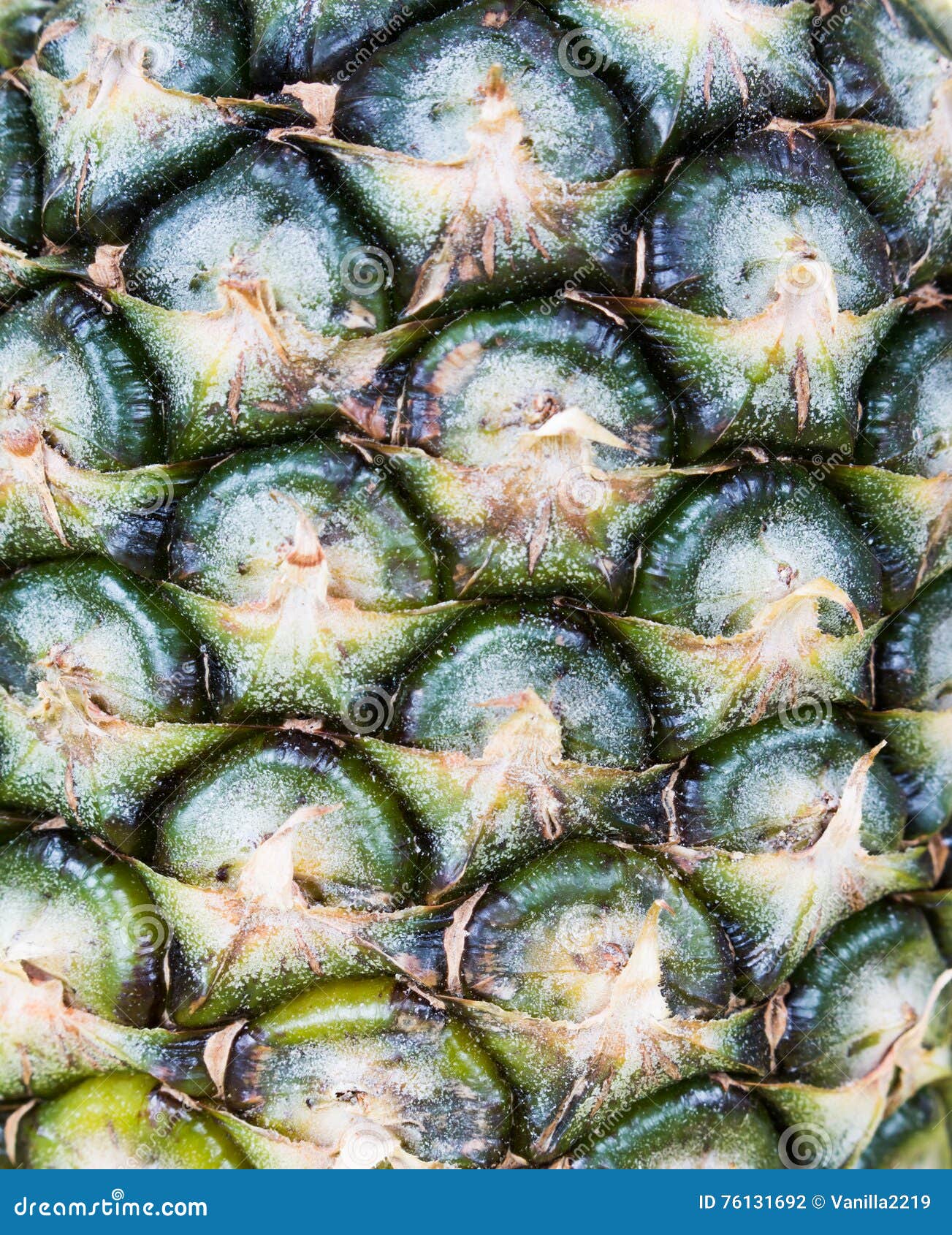 Pineapple Texture Background Royalty-Free Stock Photo | CartoonDealer ...