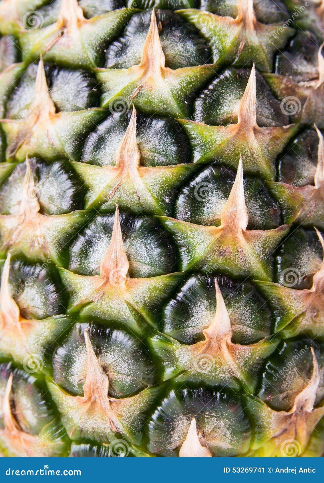 Pineapple texture stock image. Image of agriculture, makro - 53269741