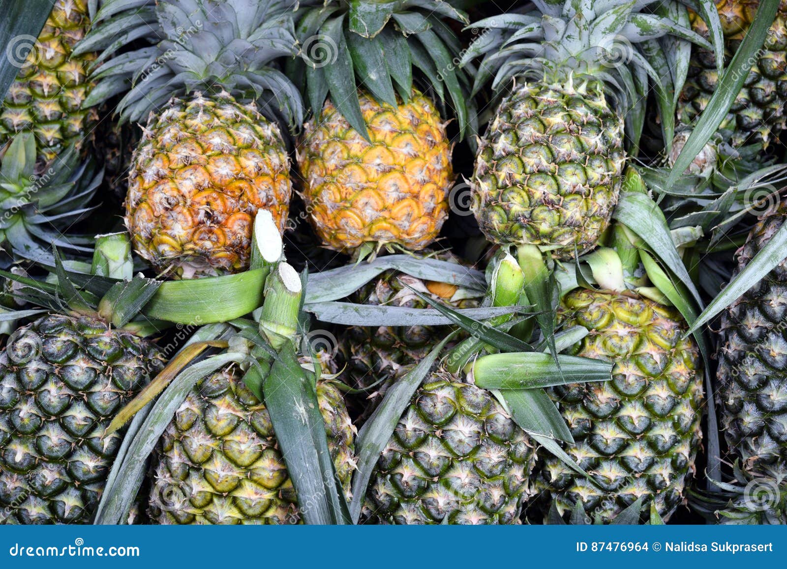 Pineapple Tropical Fruit stock photo. Image of dessert - 87476964