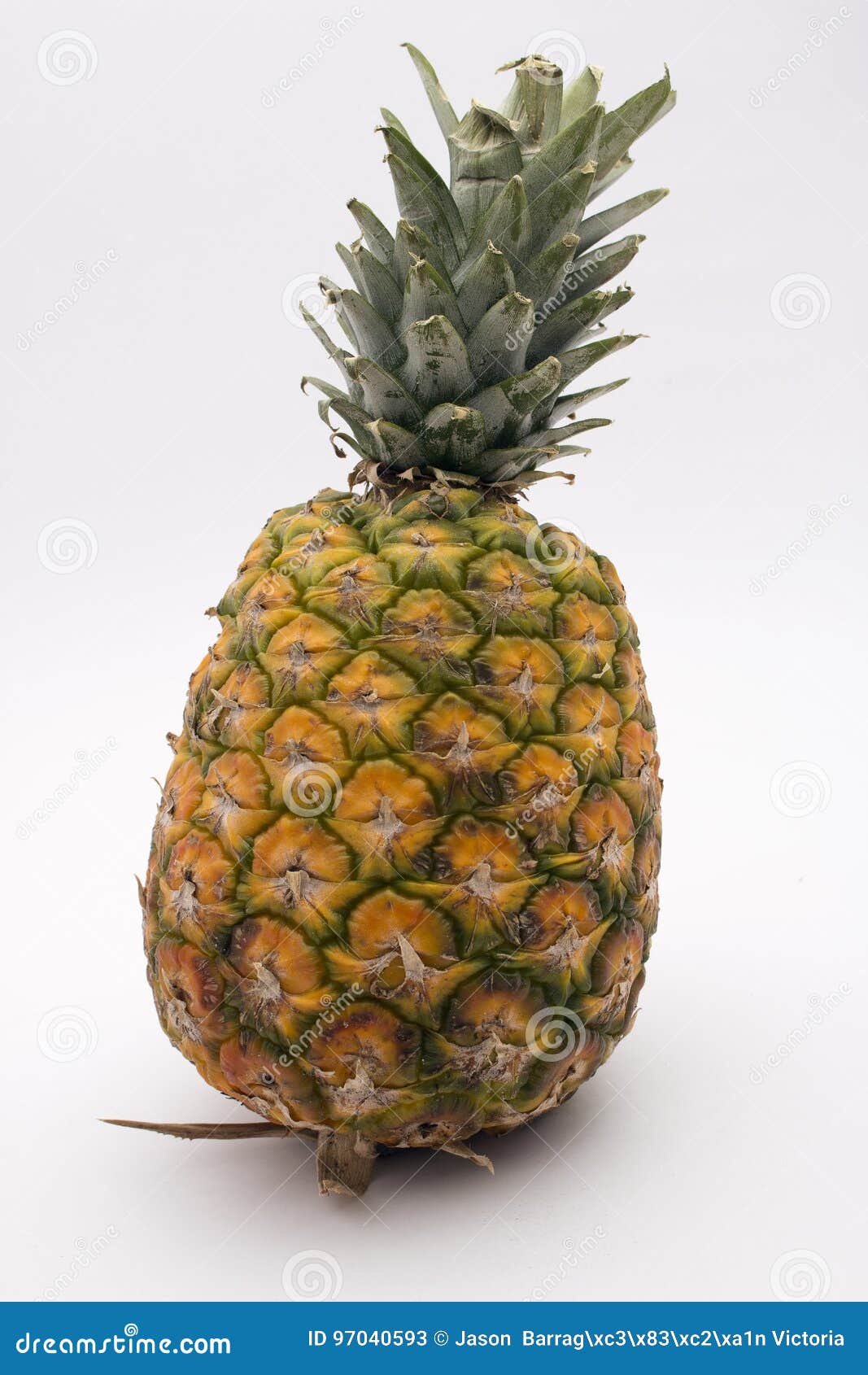 Pineapple stock image. Image of nature, fresh, food, freshness - 97040593