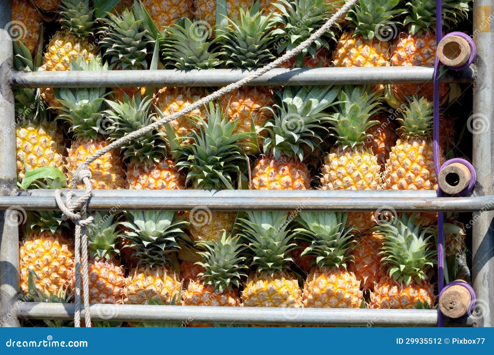 Pineapple in truck stock photo. Image of ecuador, hawaii - 29935512