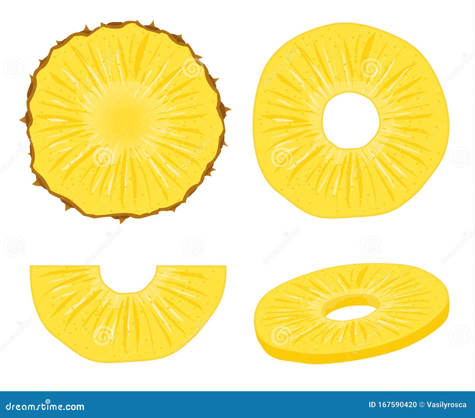 Pineapple Vector Slice Fruit Illustration. Realistic Ananas Piece ...