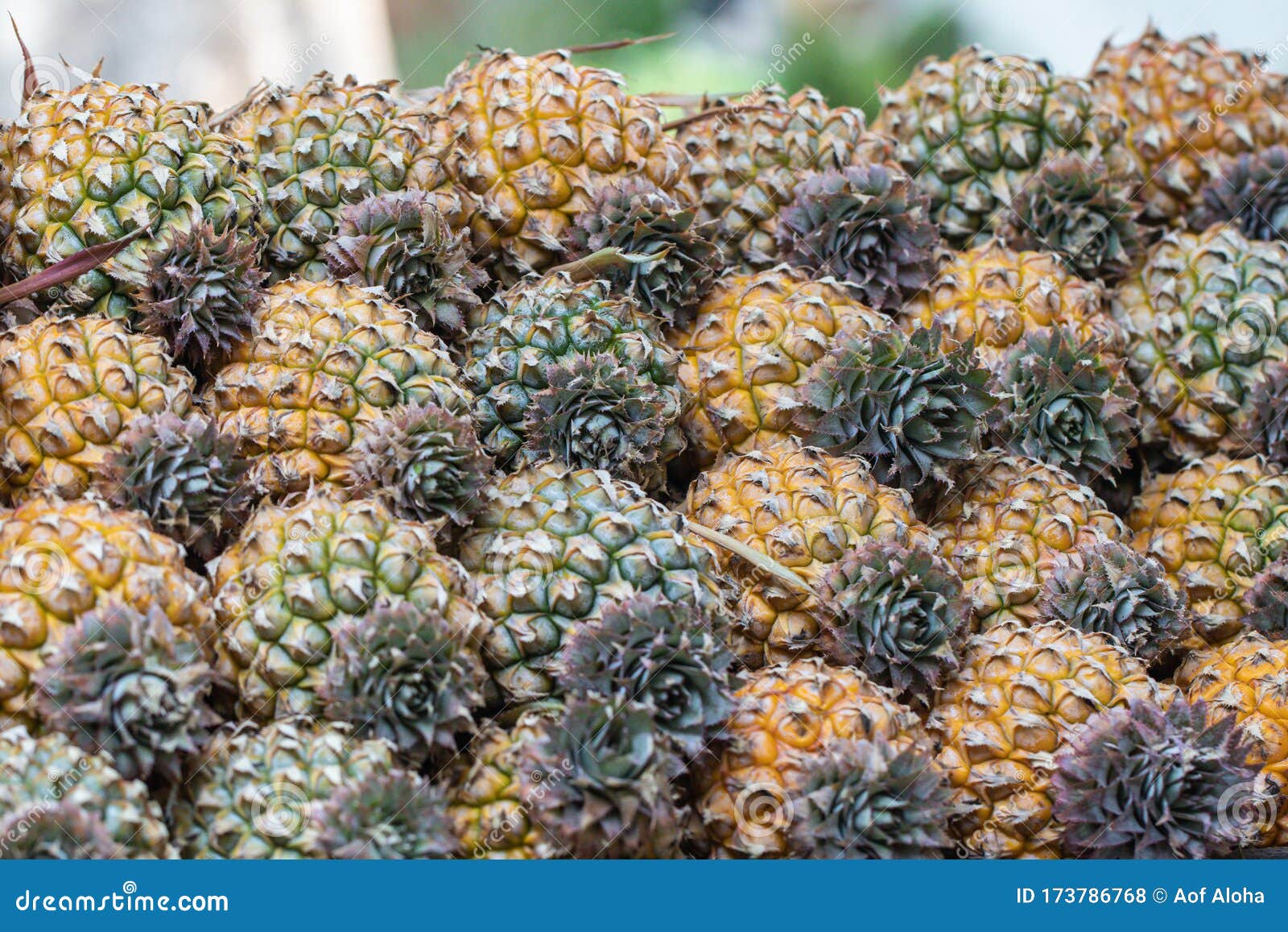Pineapple in a Vegetable and Fruit Market.Selective Focus Row of ...
