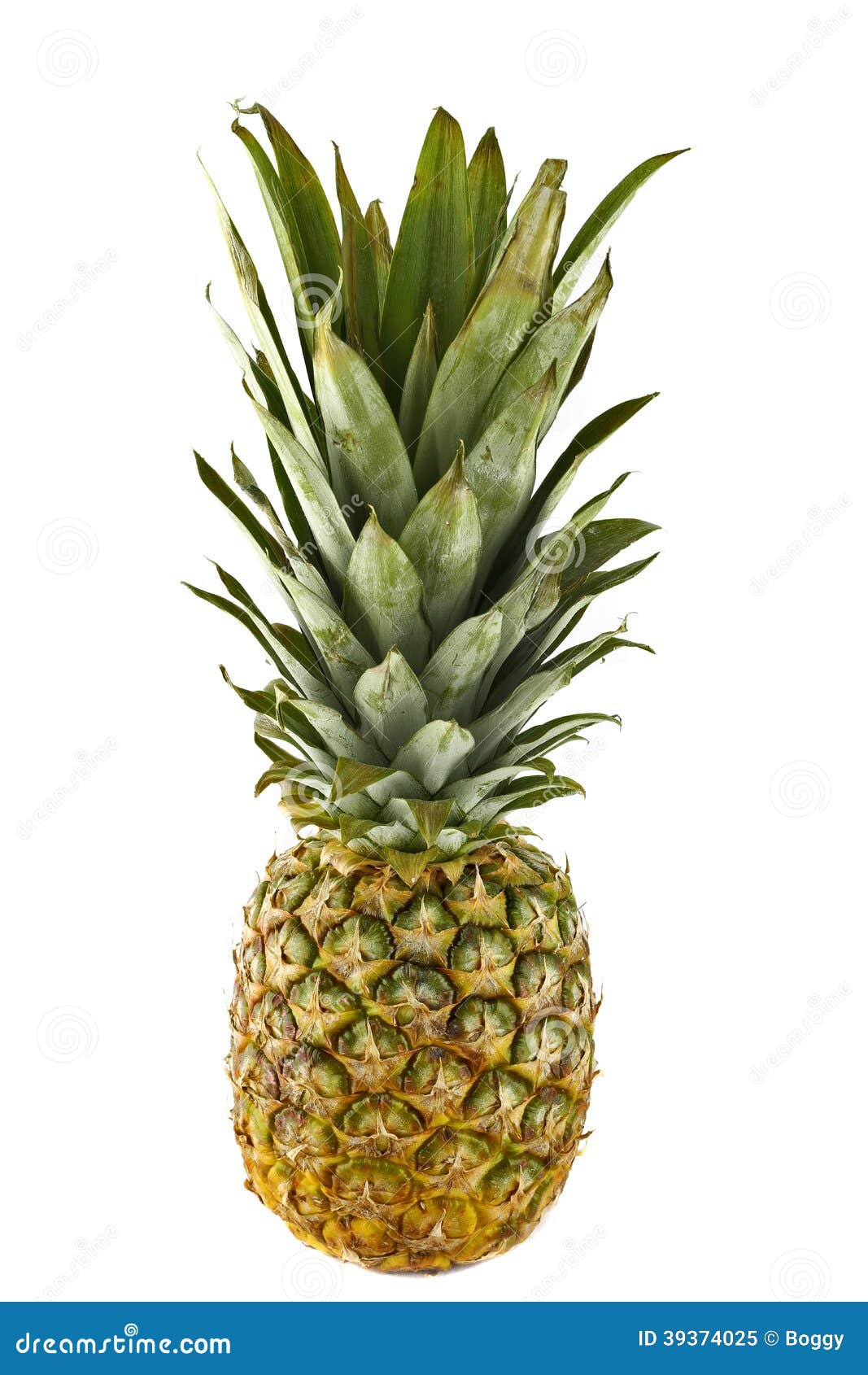 Pineapple stock image. Image of leaf, nutrition, bright - 39374025