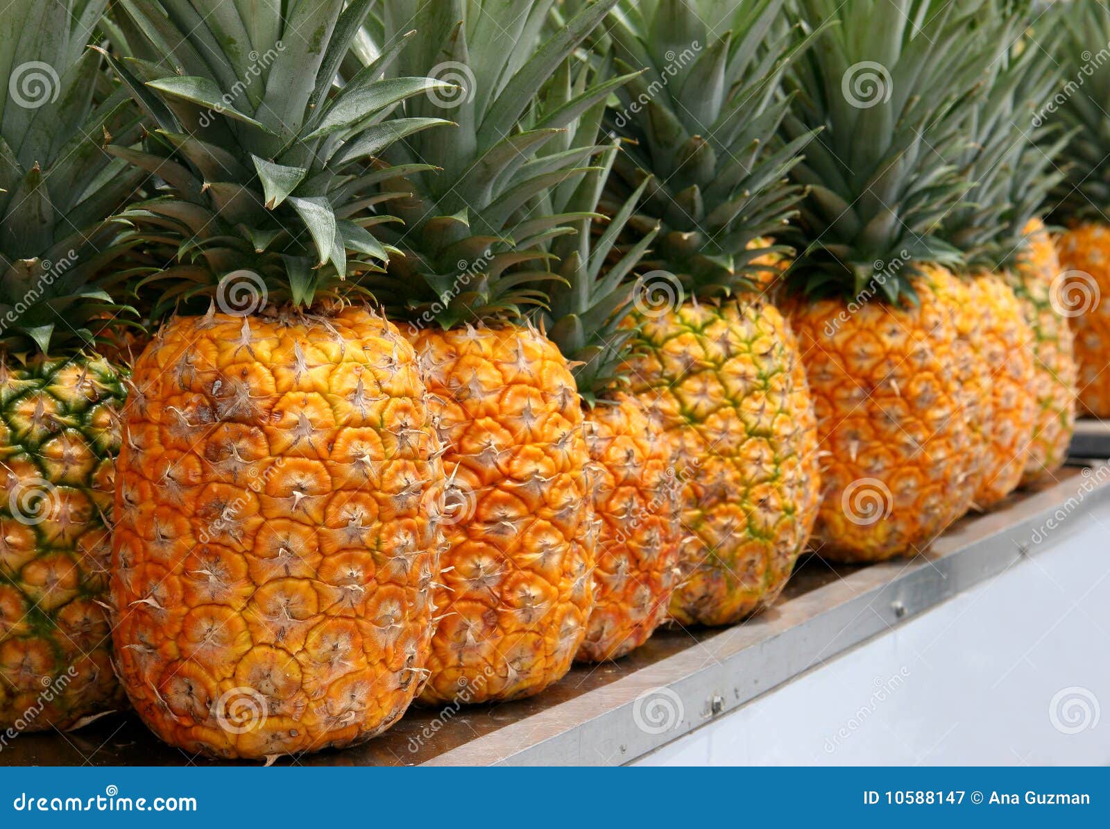 Pineapples stock image. Image of fruit, healthy, sweet - 10588147
