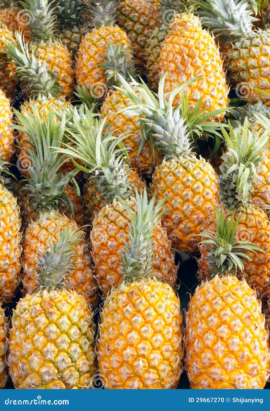 Pineapples stock photo. Image of orange, fruits, close - 29667270