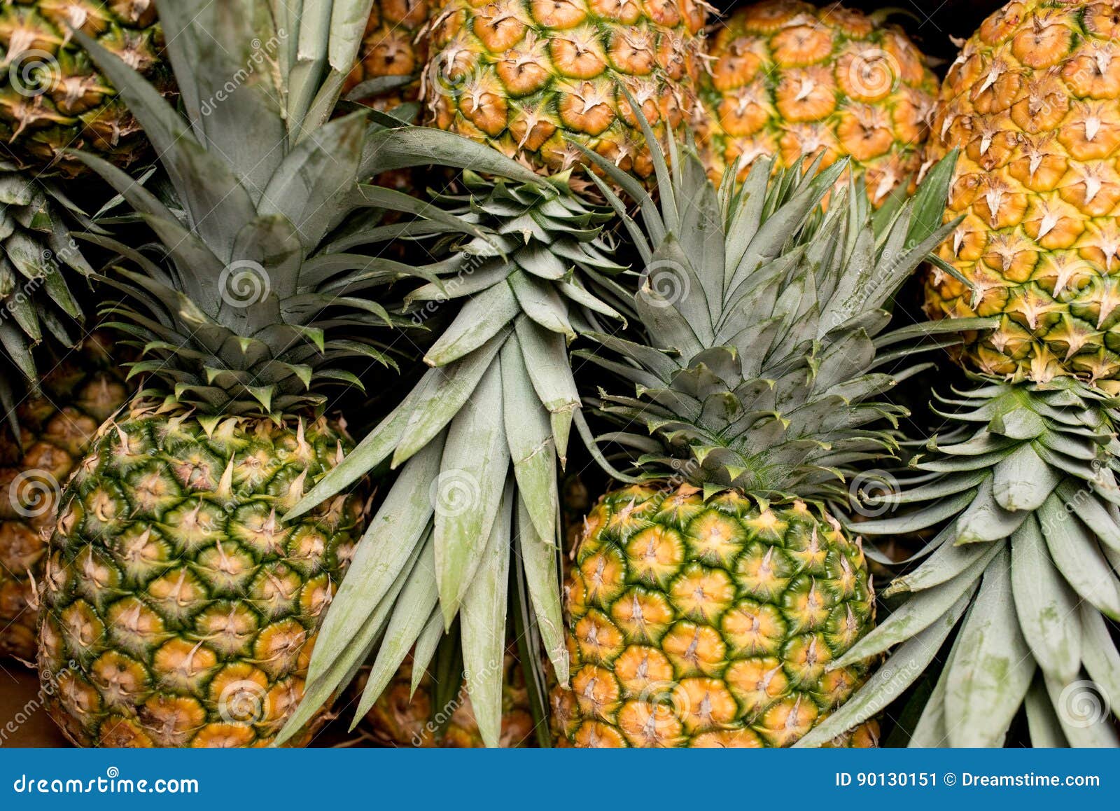 Pineapples in a Row Stacked Pina Stock Image - Image of joya, hanging ...