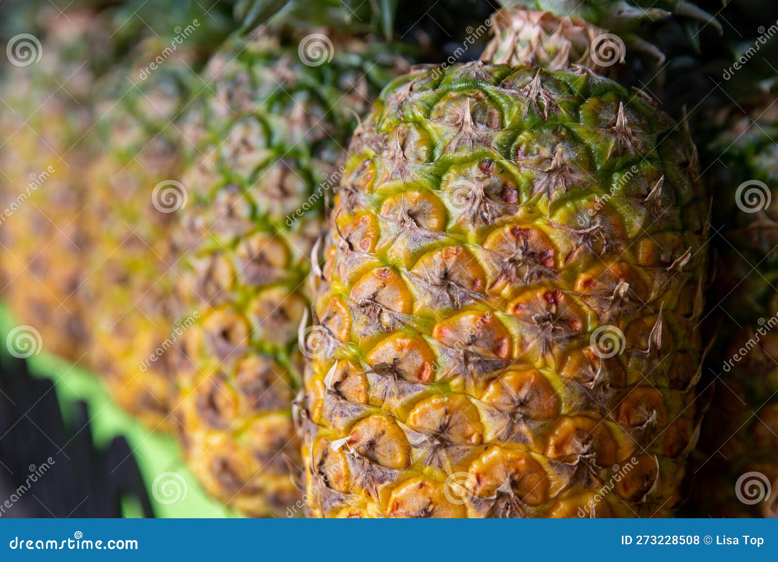 Pineapples shot close up stock photo. Image of pineapple - 273228508