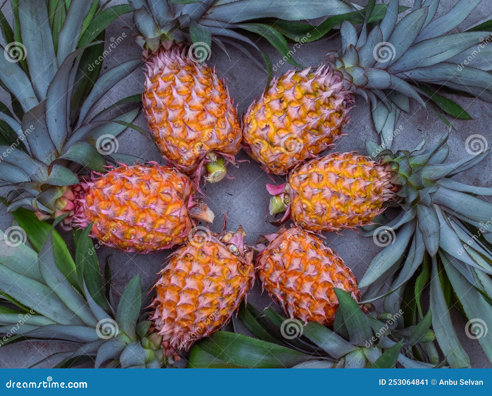 Pineapples Stacked With Blur Background Royalty-Free Stock Photography | CartoonDealer.com ...