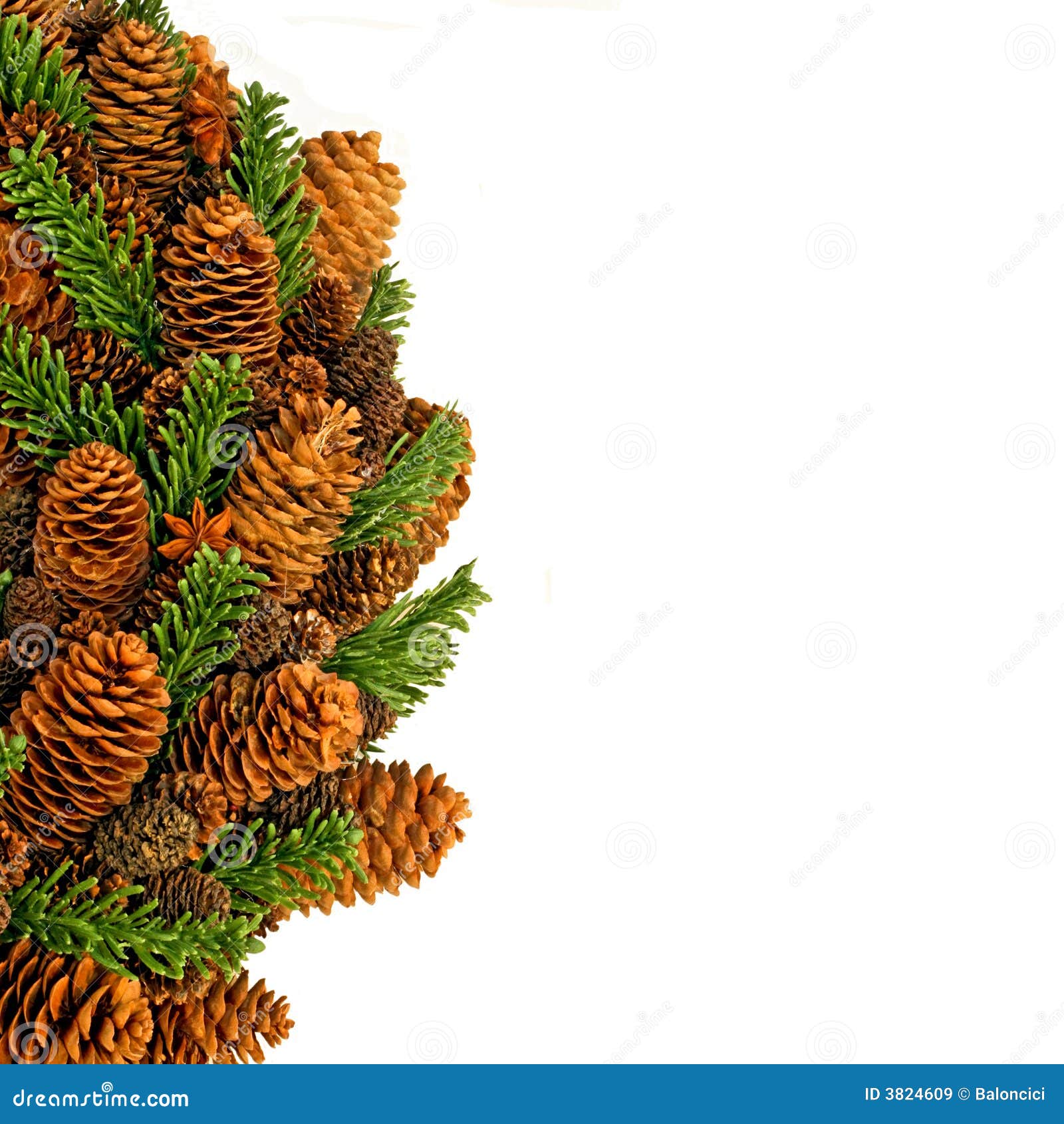 Pinecone square stock image. Image of fresh, floral, celebration - 3824609