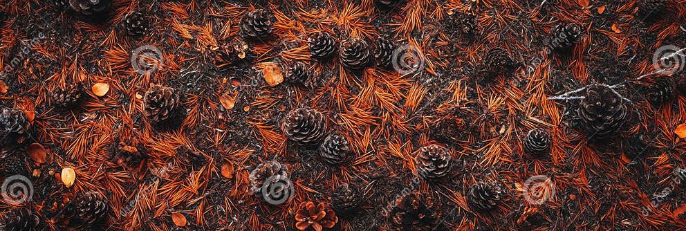 Pinecones and Autumn Leaves Creating a Textured Forest Floor Pattern ...