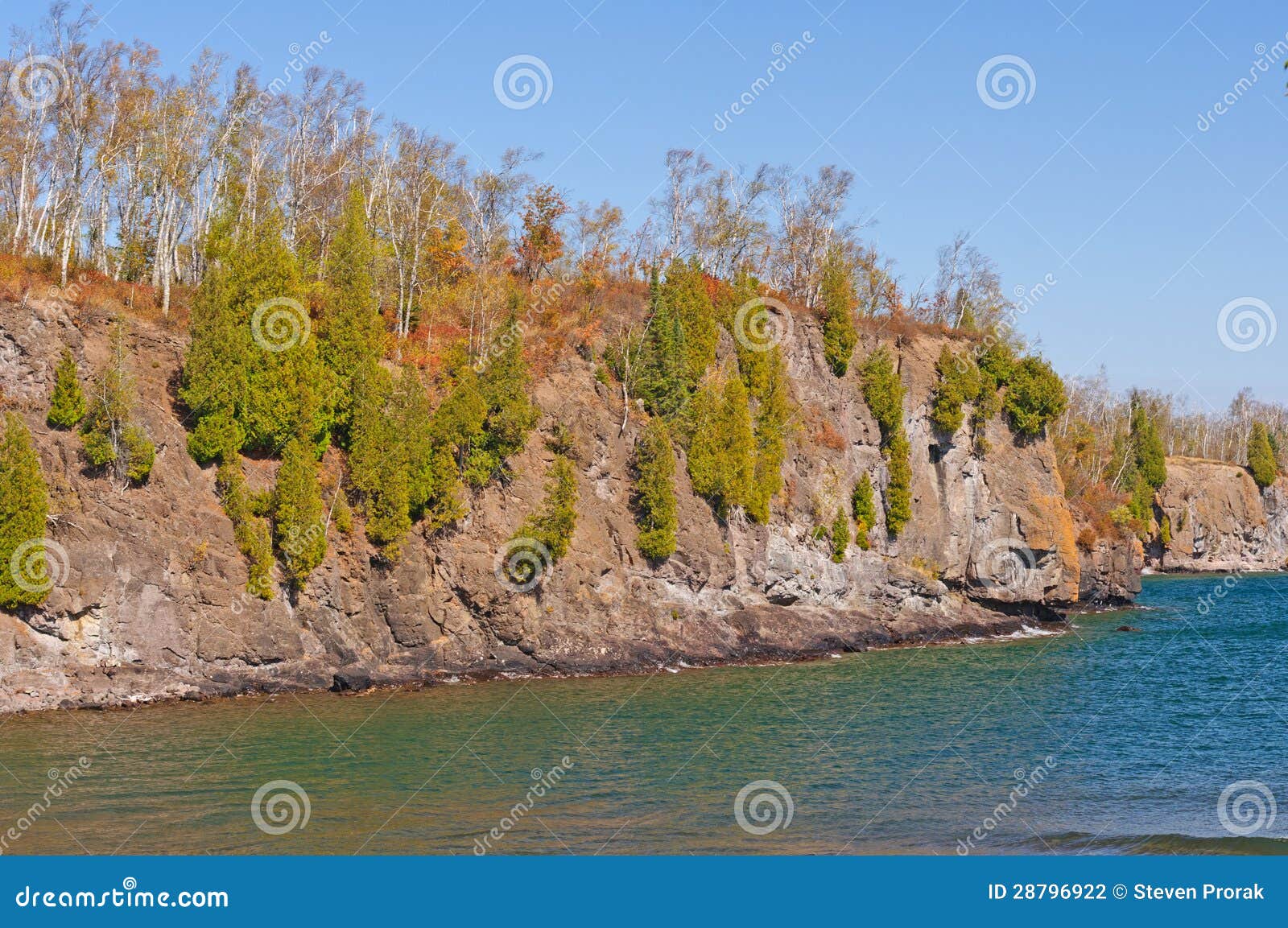 Pines Growing on Rocky Cliff Along the Great Lakes Stock Photo - Image ...