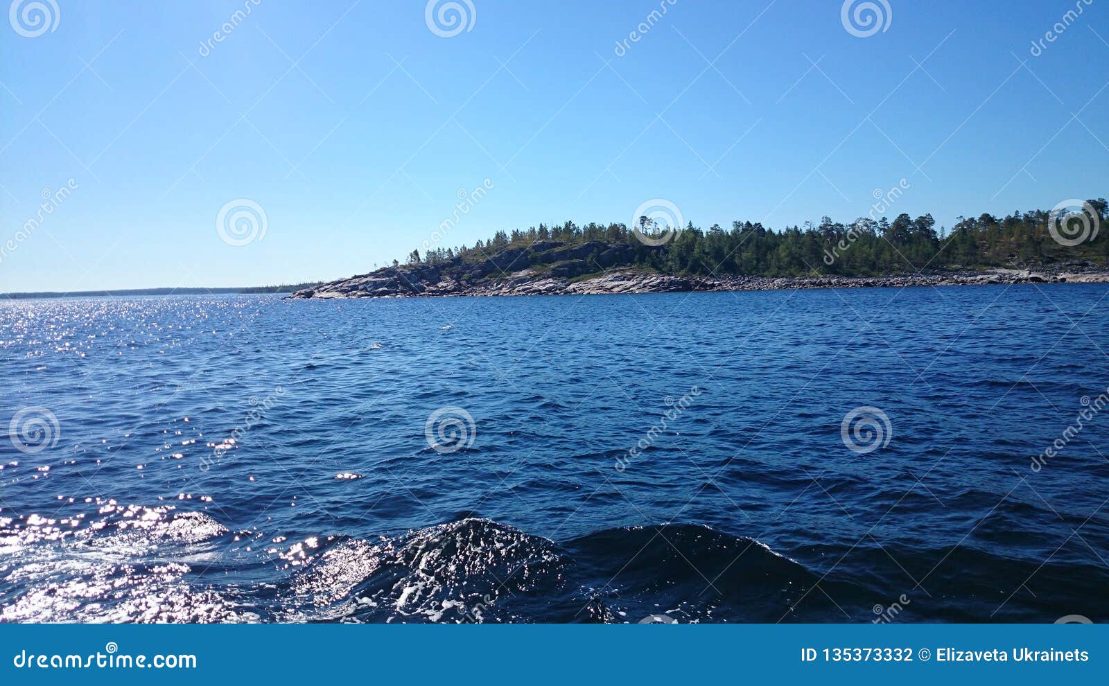 Wild northern lands stock photo. Image of pines, northern - 135373332