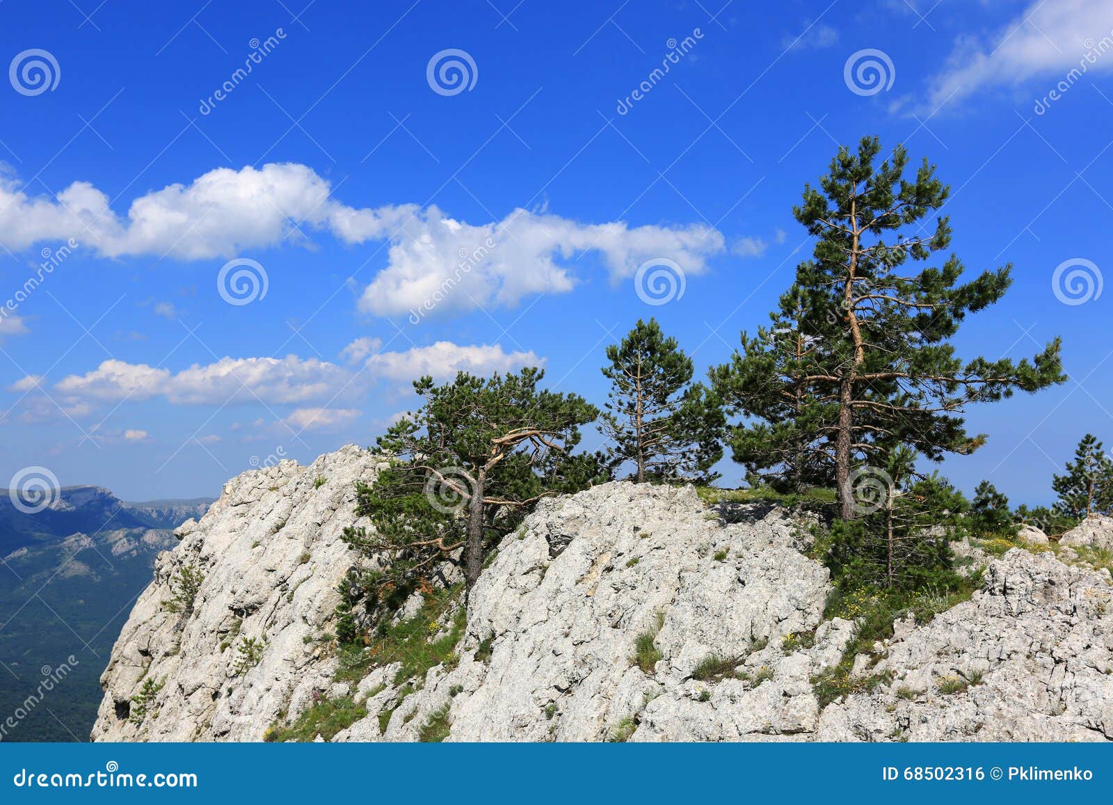 Pines on Rocks in Mountains Stock Photo - Image of blue, cliff: 68502316