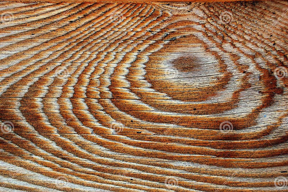 Pinewood grain stock photo. Image of dendrology, background - 1120084
