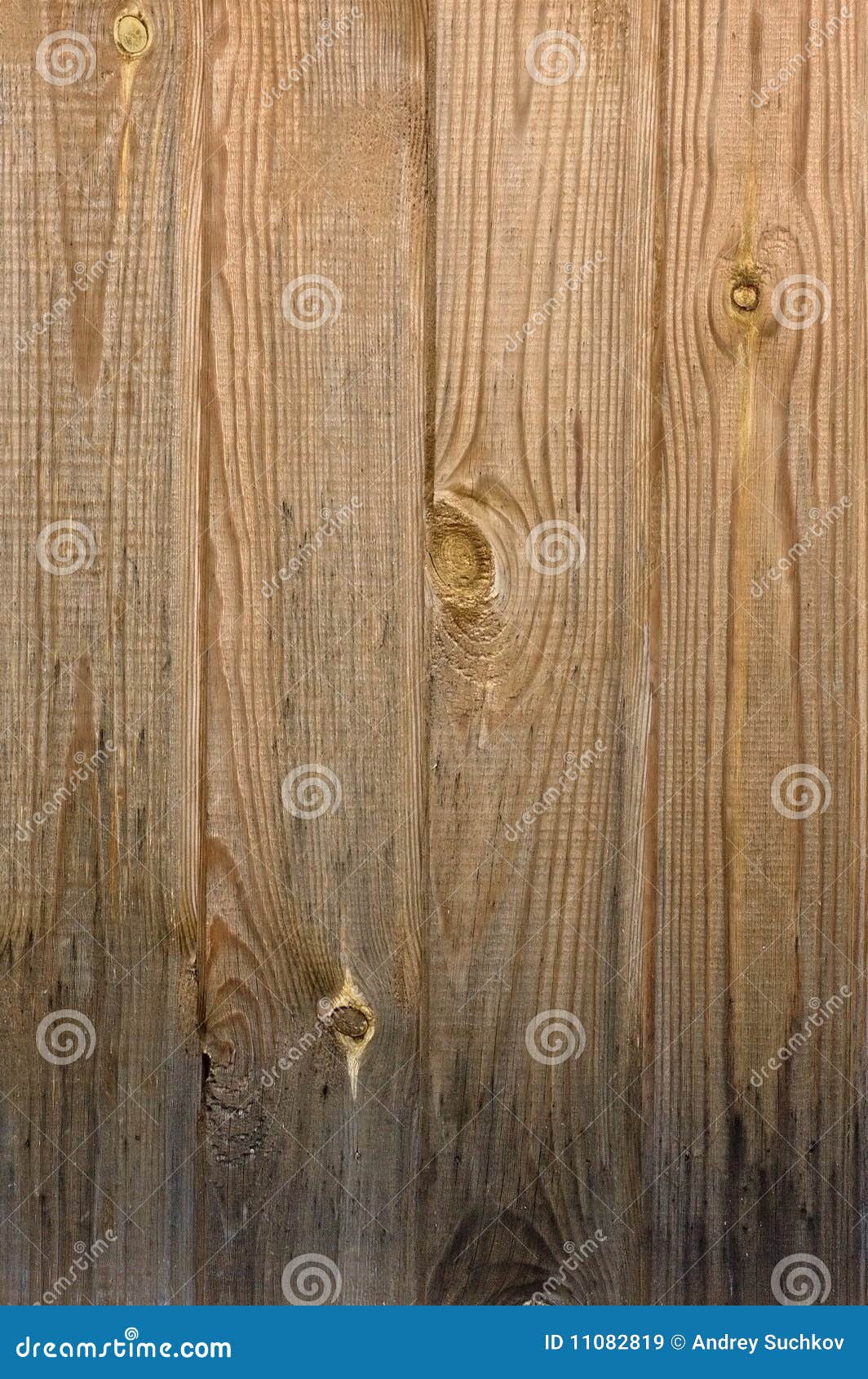 Pinewood texture stock image. Image of background, wood - 11082819