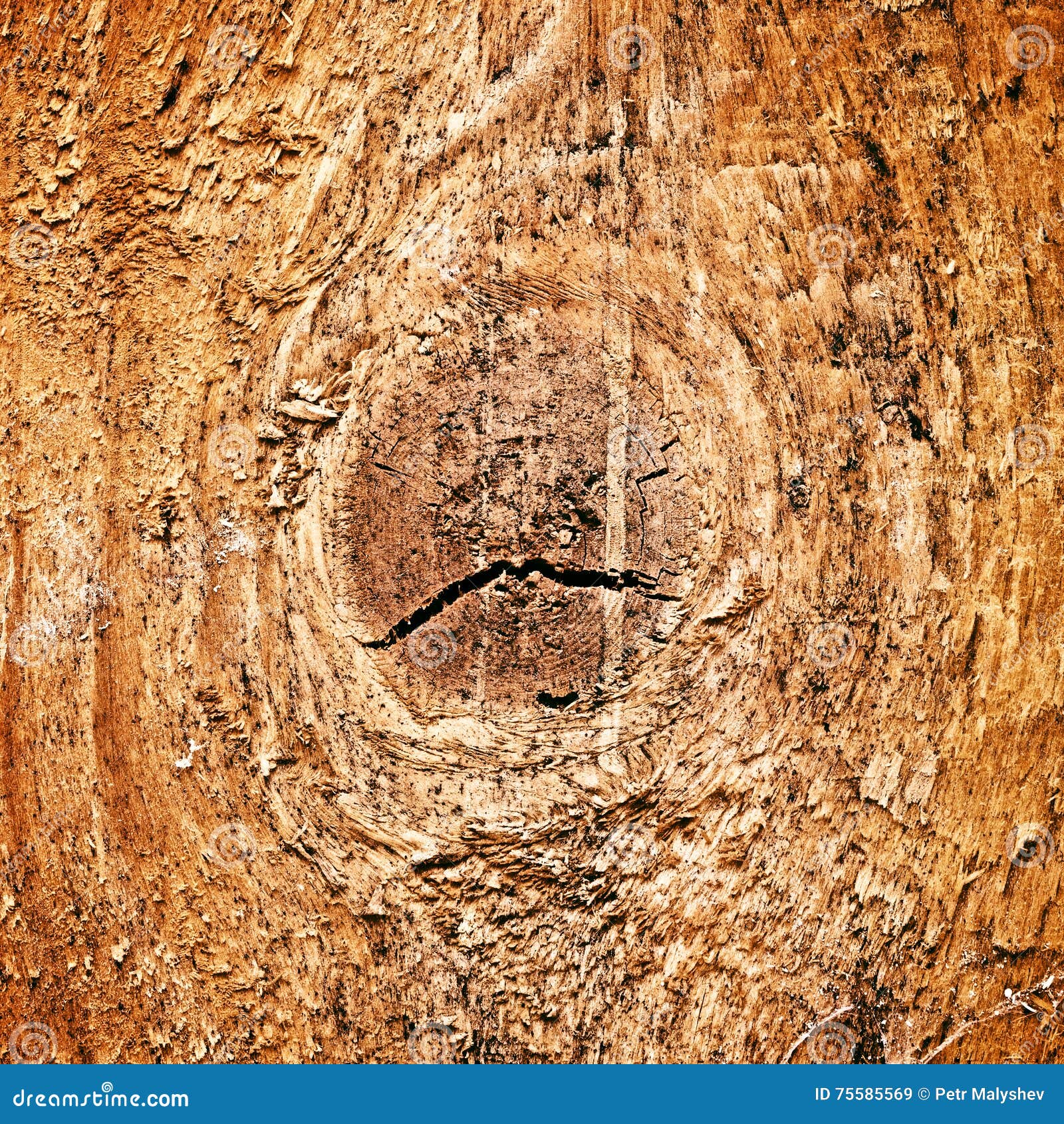 Pinewood Texture Closeup stock image. Image of natural - 75585569