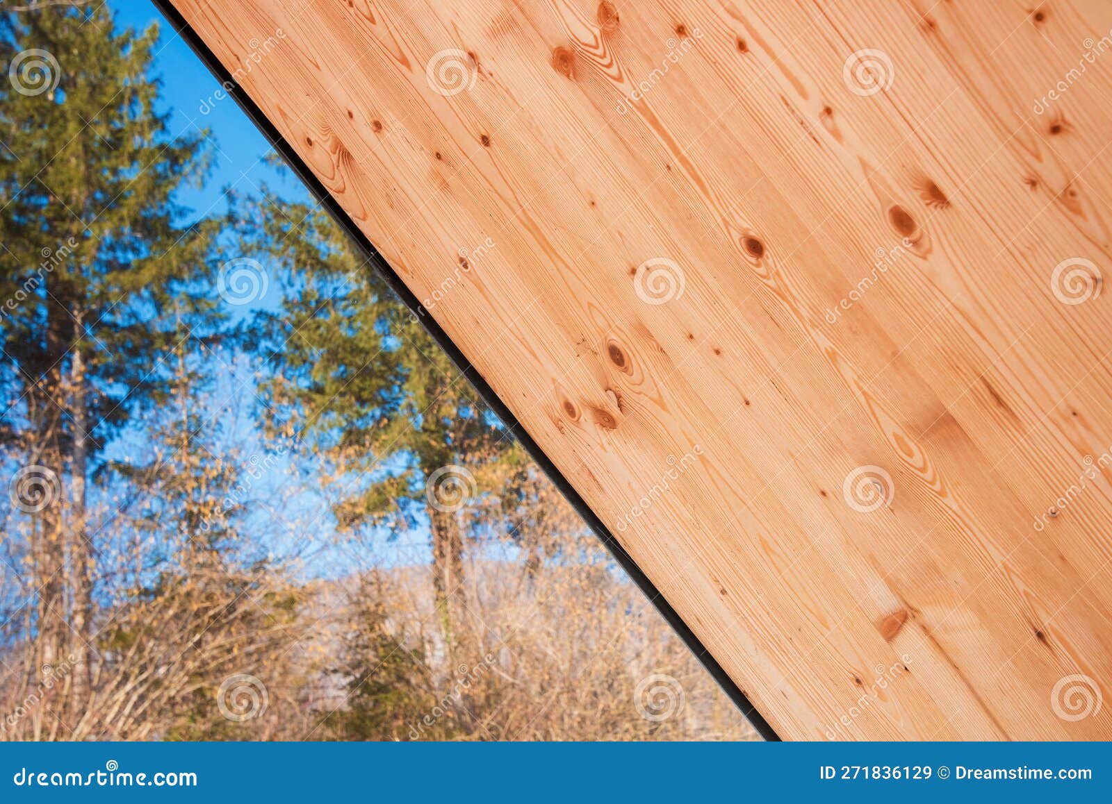 Pinewood Wall Covering and View of Pine Tree Woods through the Window ...