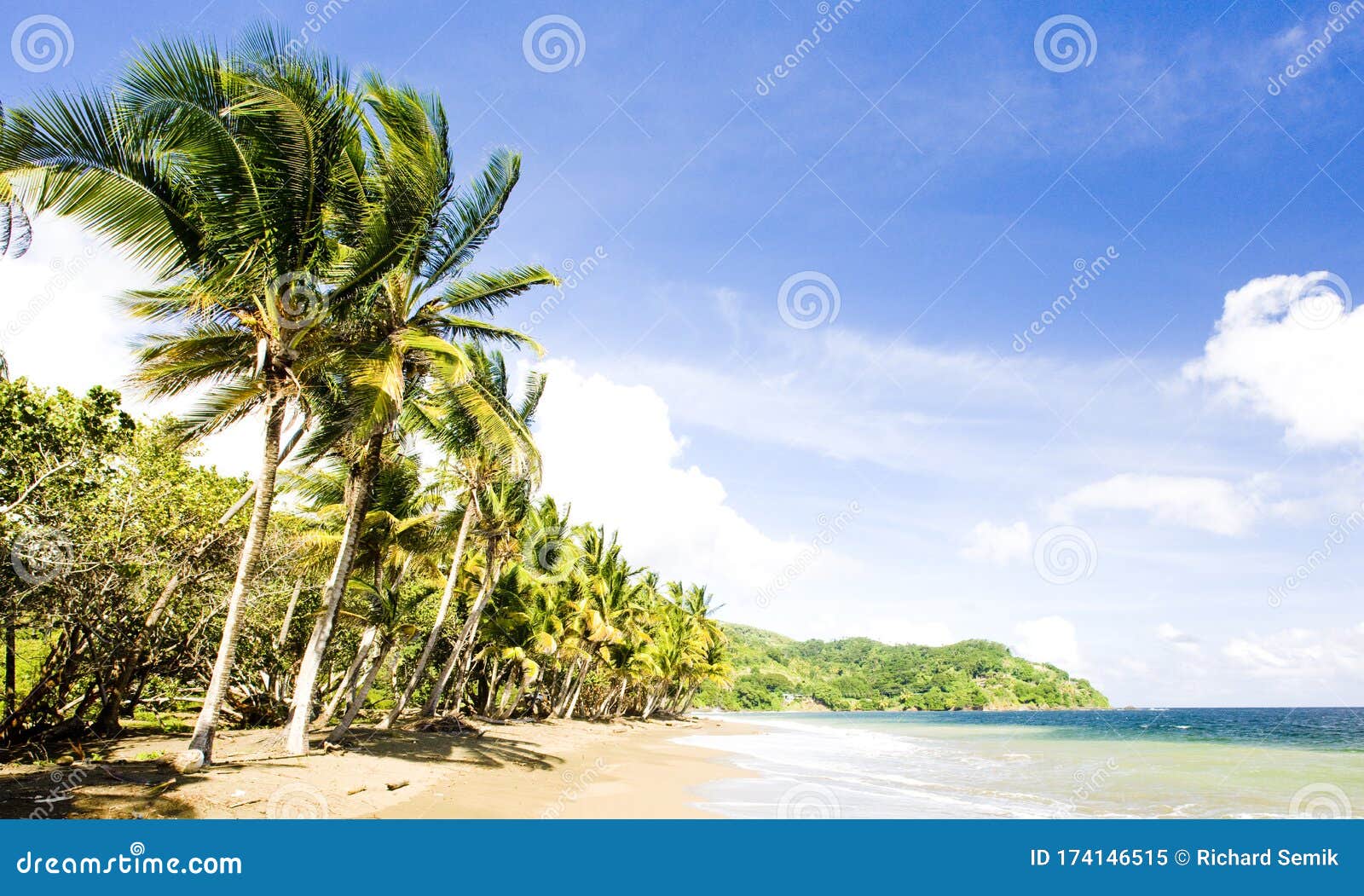 Pinfold Bay, Tobago stock image. Image of scenic, shores - 174146515
