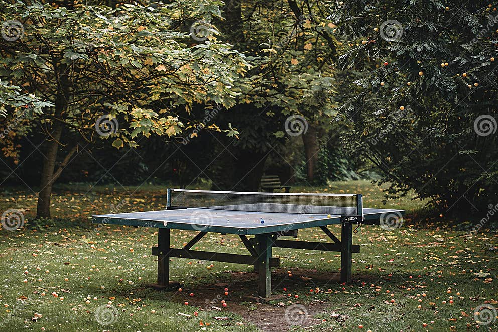 Ping Pong Table in Autumn Park Stock Illustration - Illustration of ...