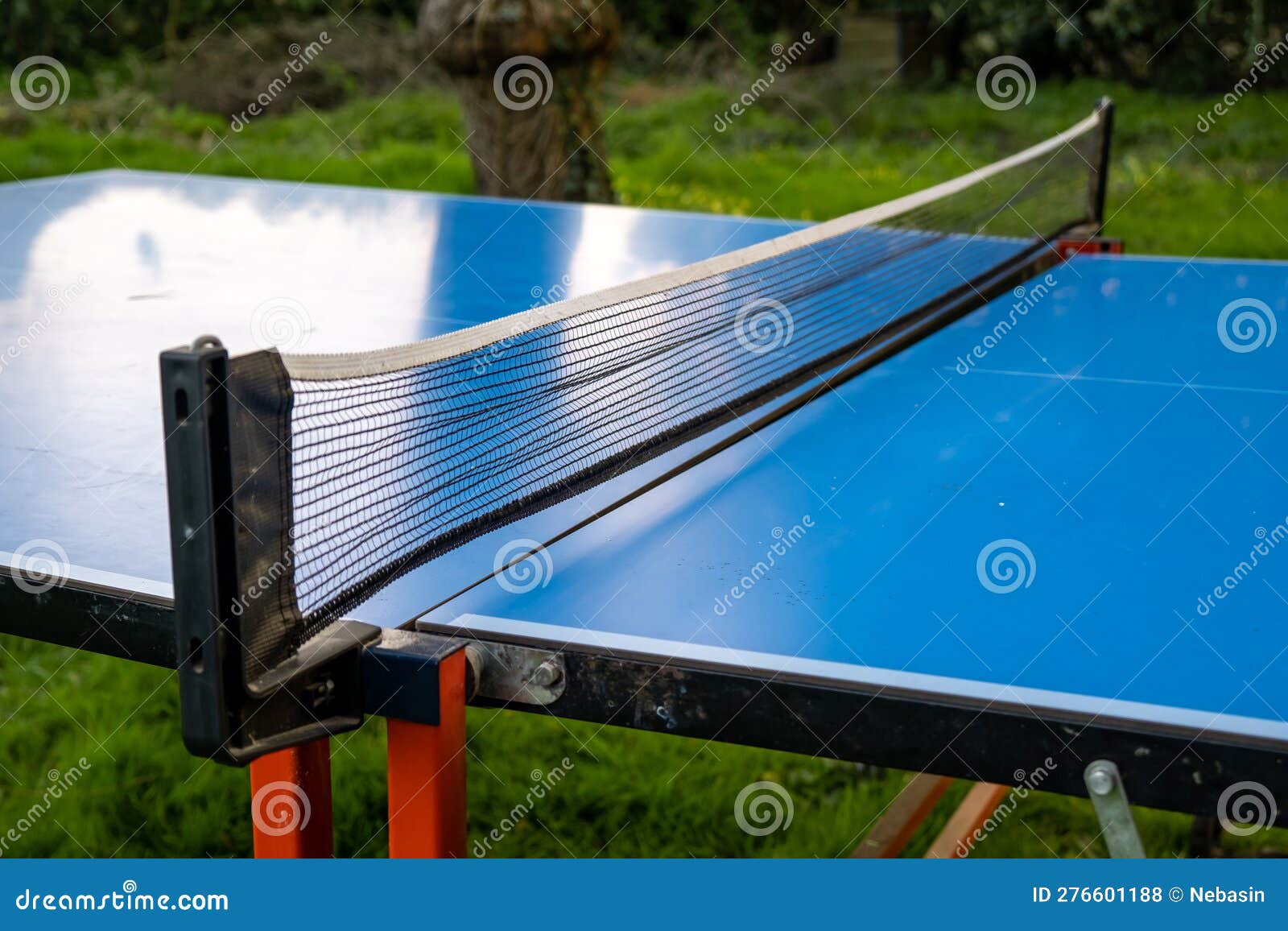 Ping Pong Table on Green Grass. Folding Table for Playing Small Tennis ...