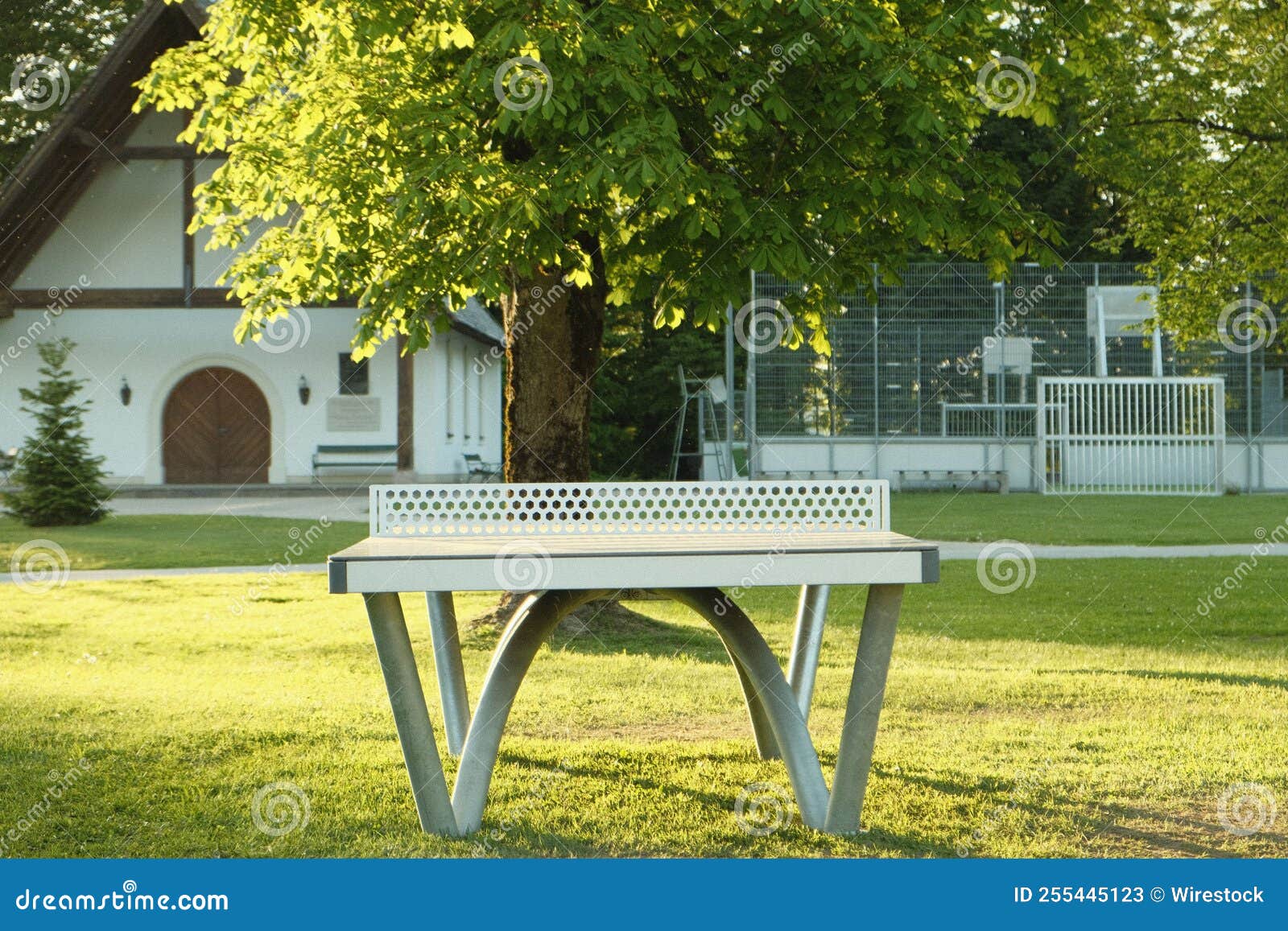 Ping-Pong Table Under a Tree at a Community Park Stock Image - Image of ...