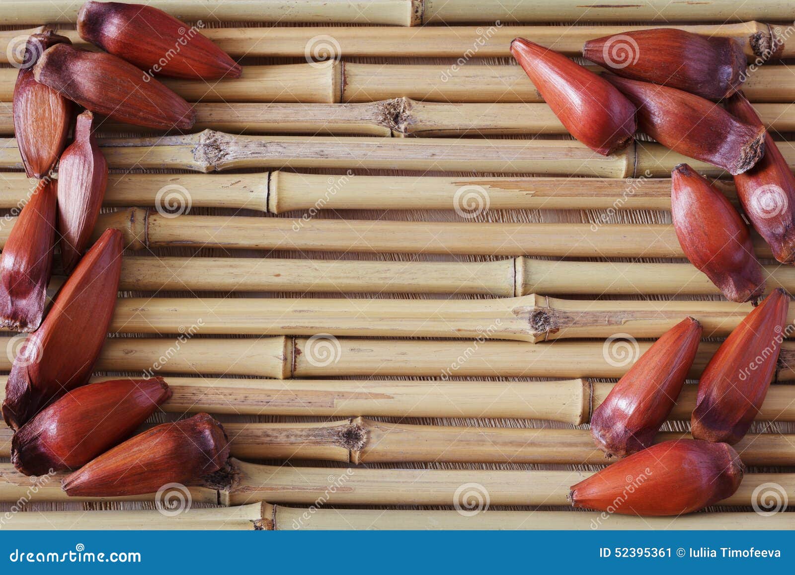 Brazilian Pine Pinhao Bamboo Board Stock Photos - Free & Royalty-Free ...