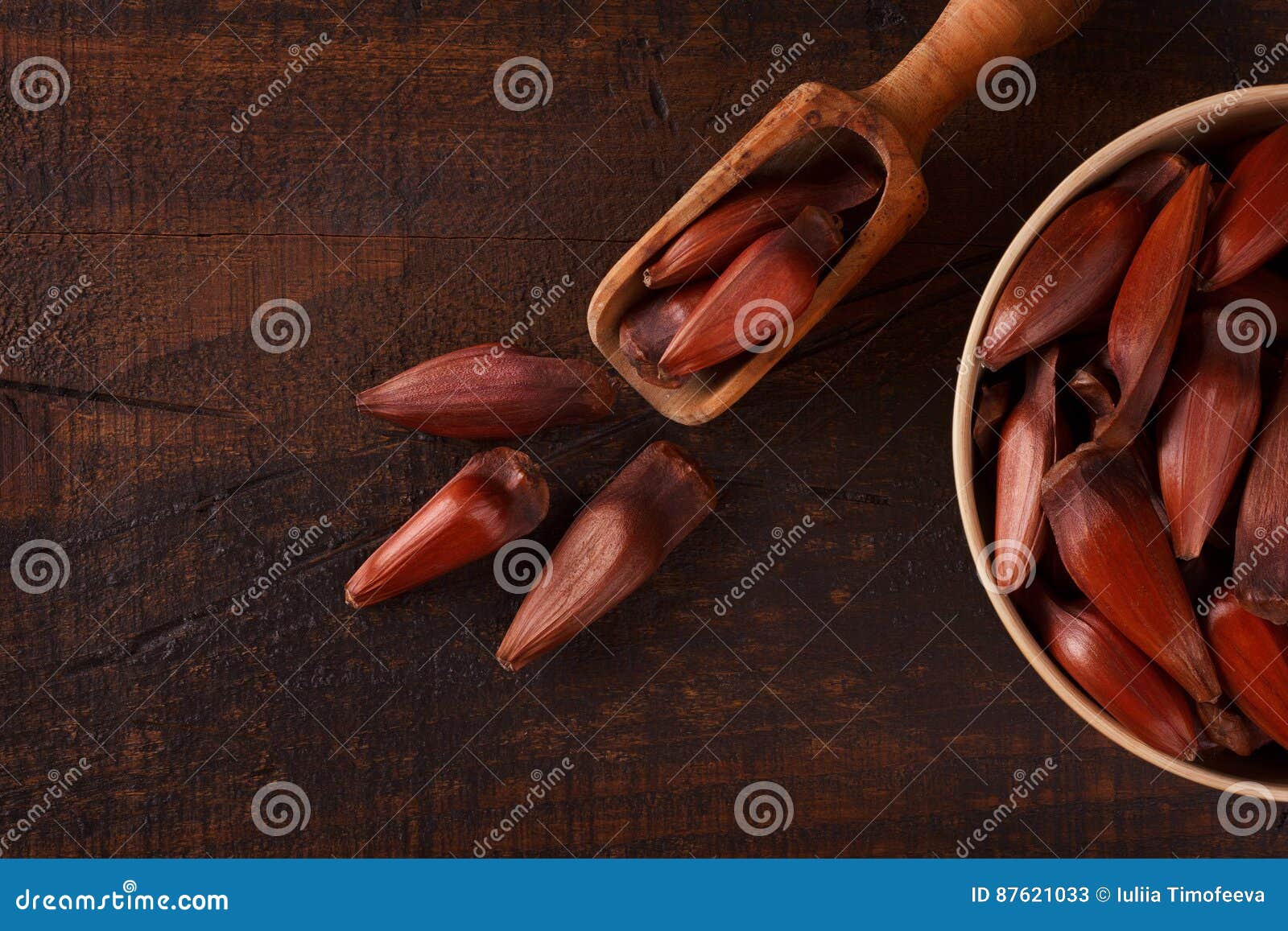 Pinhao - pinho brasileiro imagem de stock. Imagem de fundo - 87621033