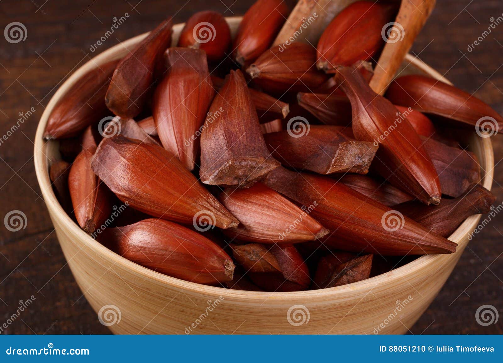 Pinhao - pinho brasileiro foto de stock. Imagem de alimento - 88051210