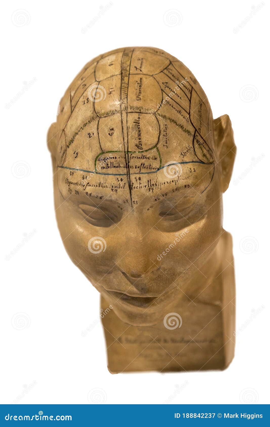 Pinhead stock image. Image of ncision, isolated, neurology - 188842237