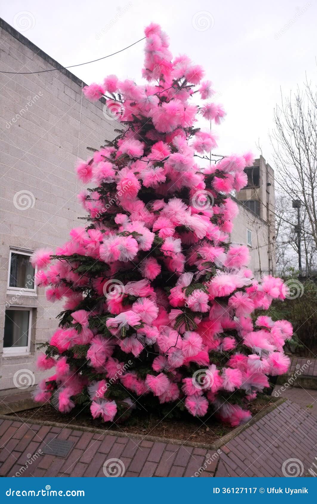 Pinheiro decorado fora imagem de stock. Imagem de festivo - 36127117