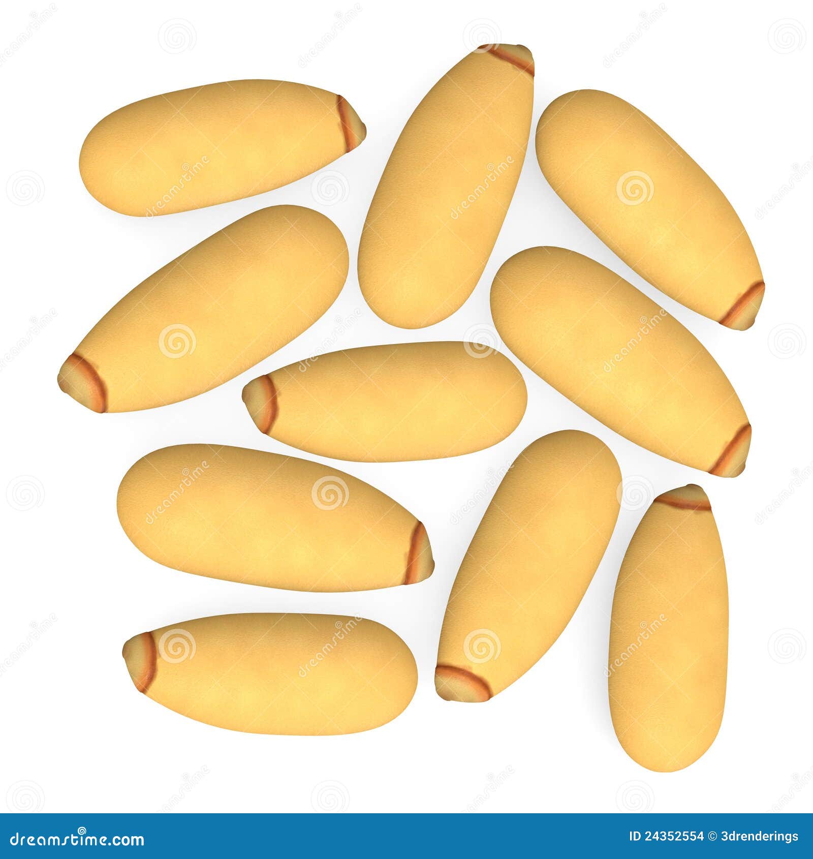 Pinia nuts stock illustration. Illustration of vegan - 24352554