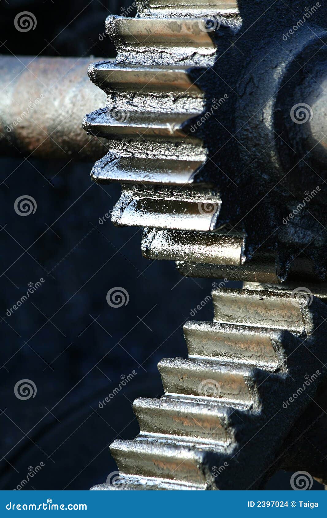 1,895 Pinion Teeth Stock Photos - Free & Royalty-Free Stock Photos from ...