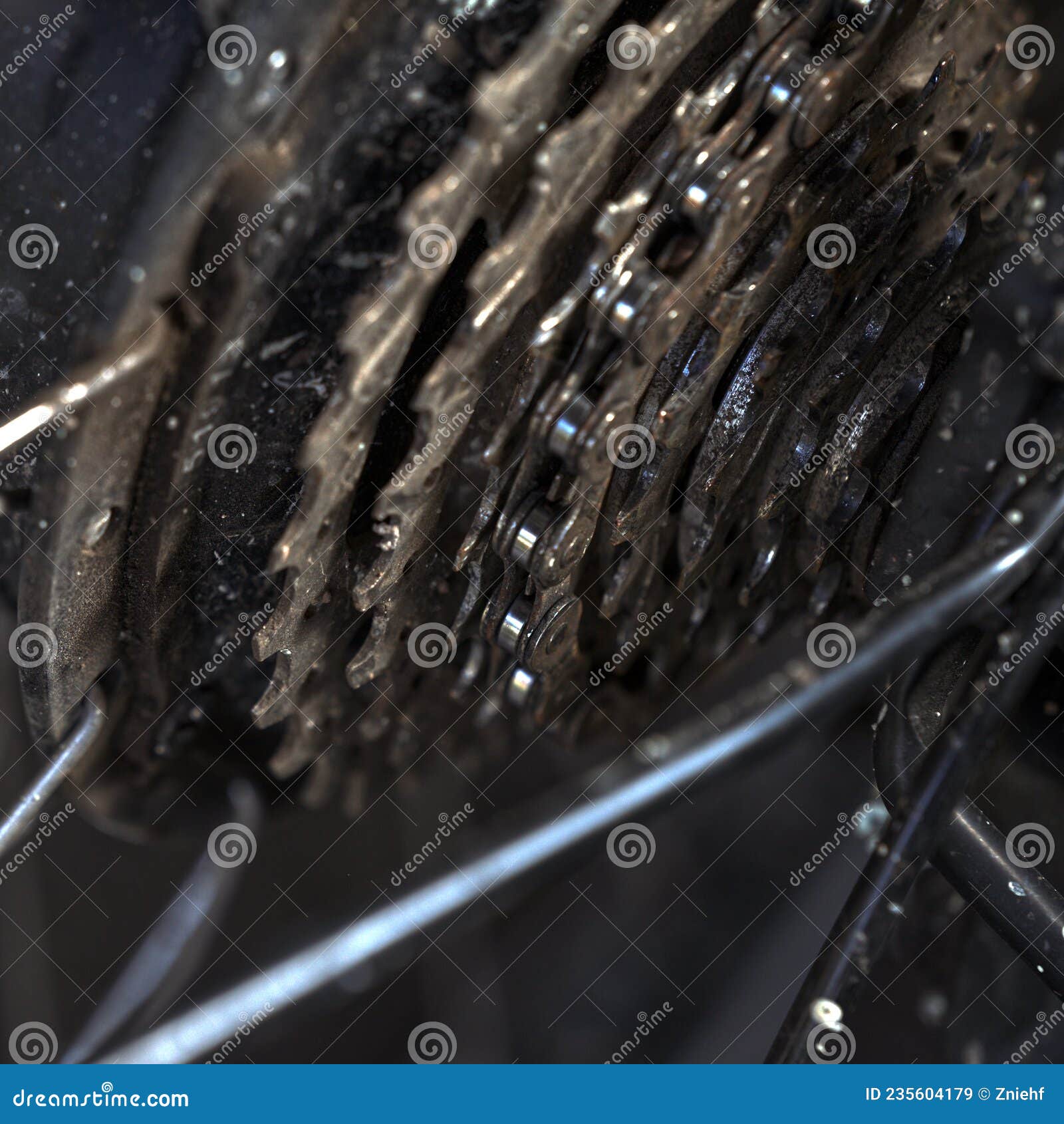 Pinion and Chain of the Gear Shift on the Rear Wheel of a Bicycle Stock ...