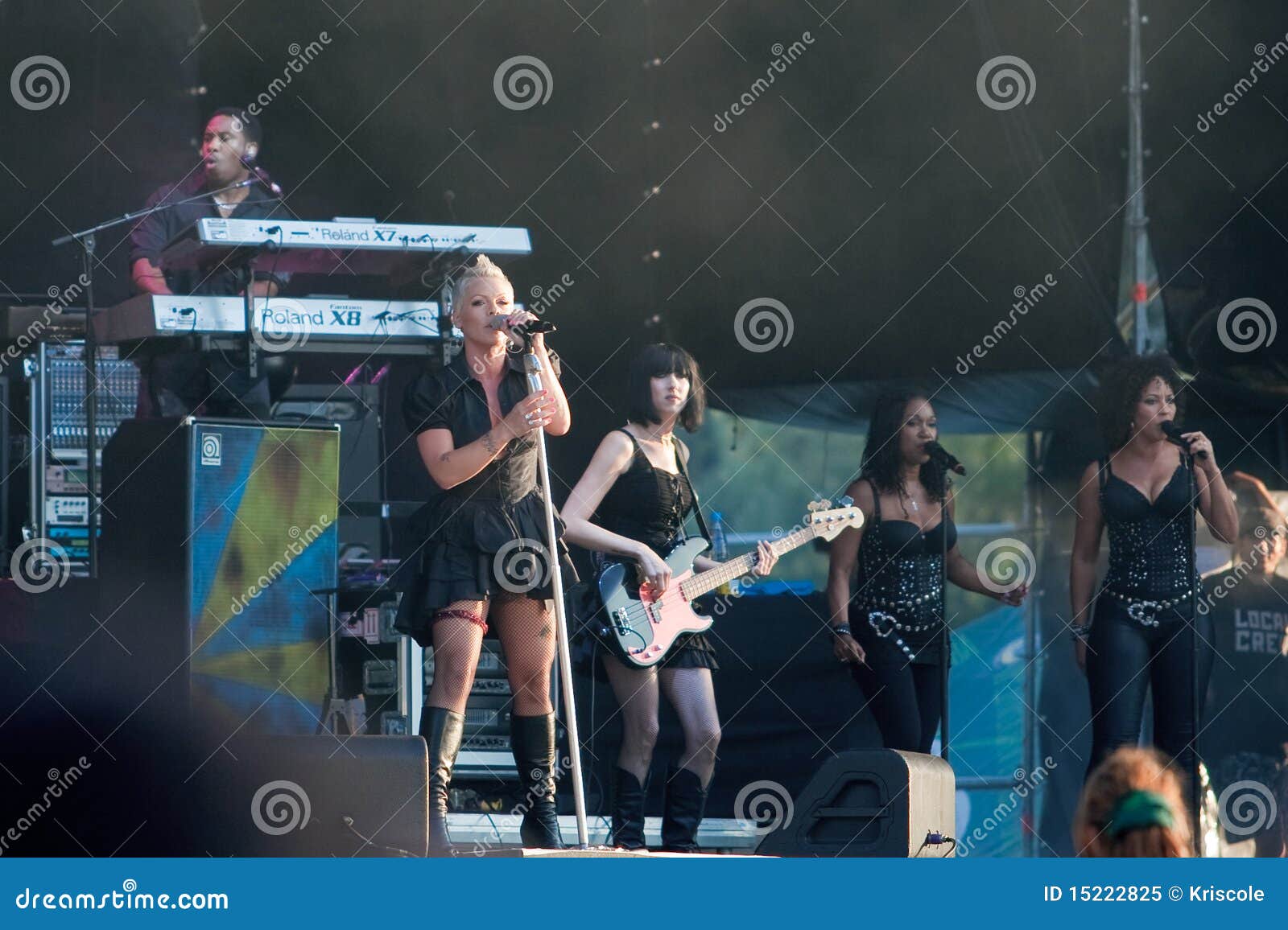 Pink editorial image. Image of musical, show, performance - 15222825