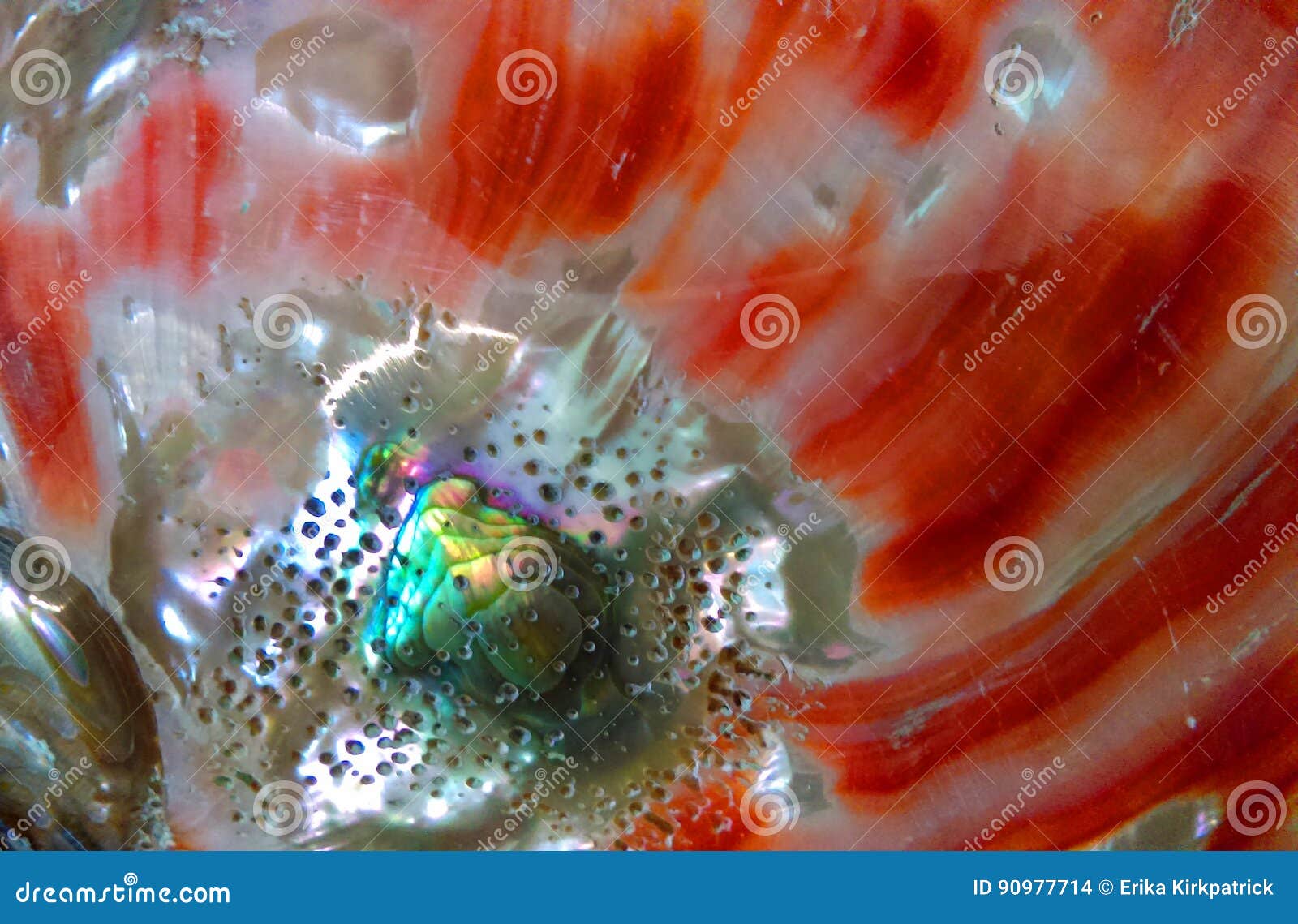Pink Abalone Gemstone Background Stock Photo - Image of nature, closeup ...
