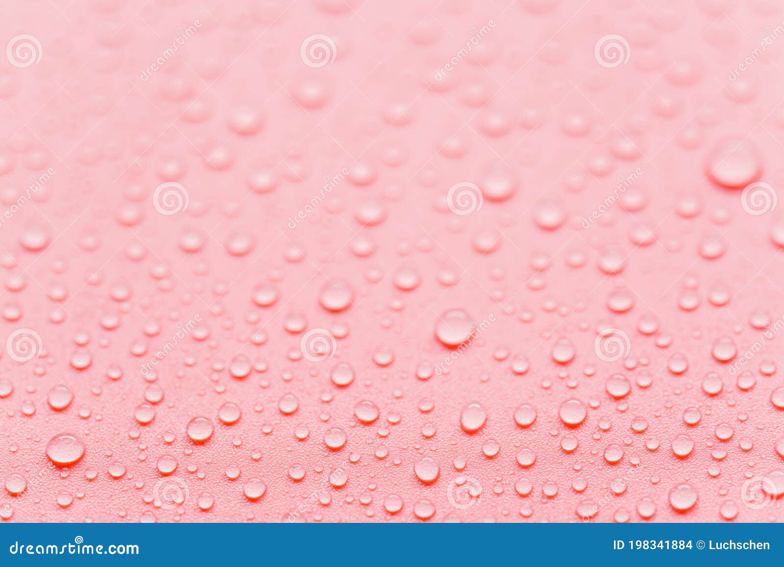 Pink Abstract Background with Dew Drops Stock Photo - Image of smooth ...