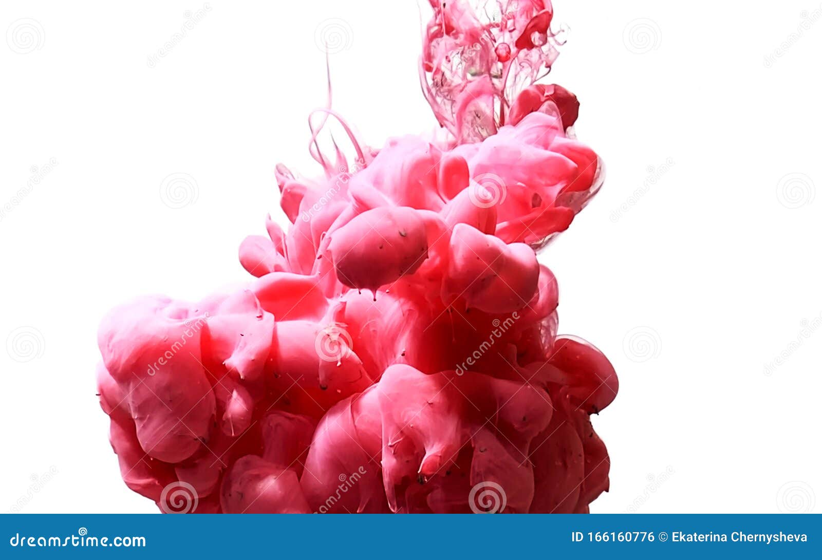 Pink Abstract Background. Powerful Explosion of Paints on a White ...