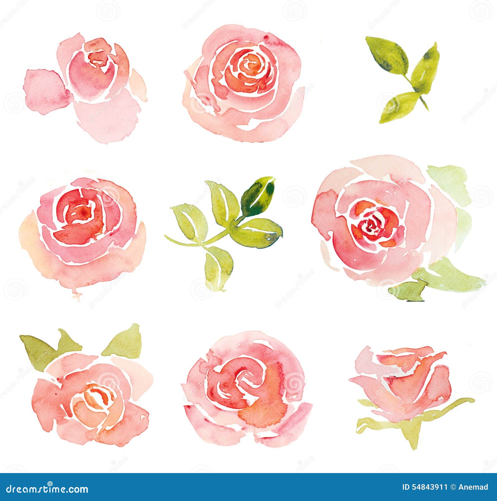 Pink Abstract Roses Elements Watercolor Stock Illustration ...