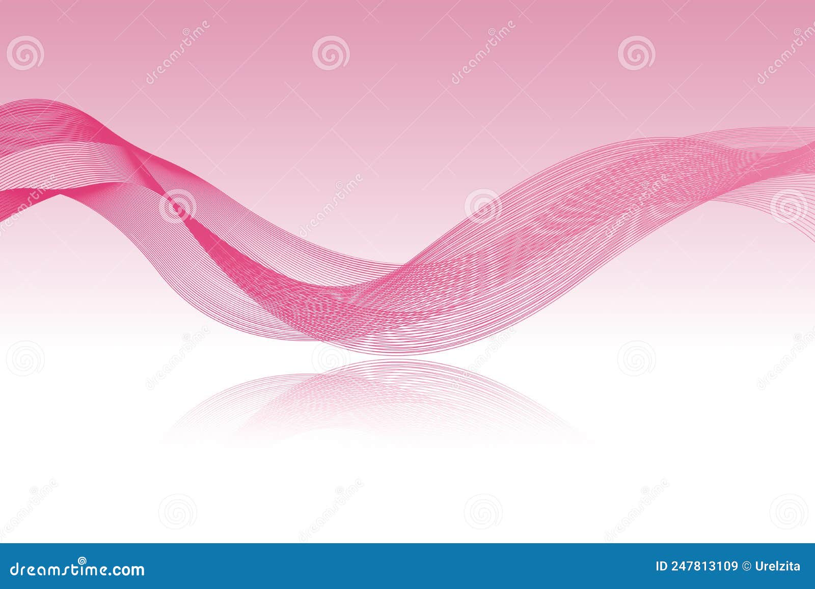 Pink Abstract Wave Lines Flowing on a White Background with a Pink ...