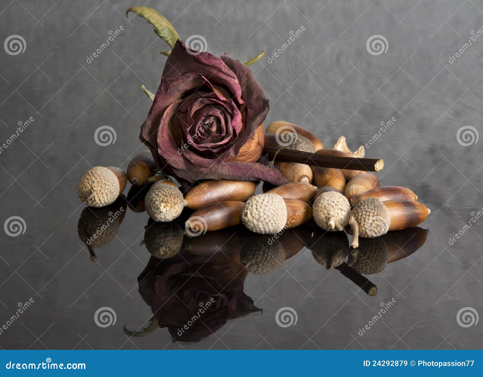 Pink with acorns stock image. Image of cornice, felicit - 24292879
