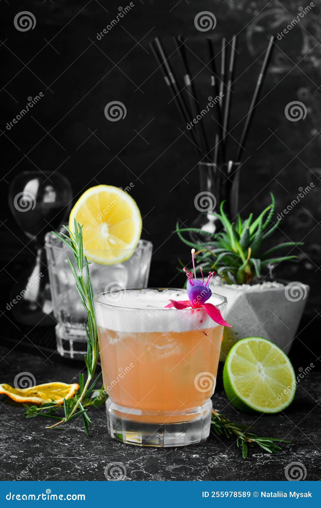 Pink alcoholic cocktail. stock image. Image of drink - 255978589